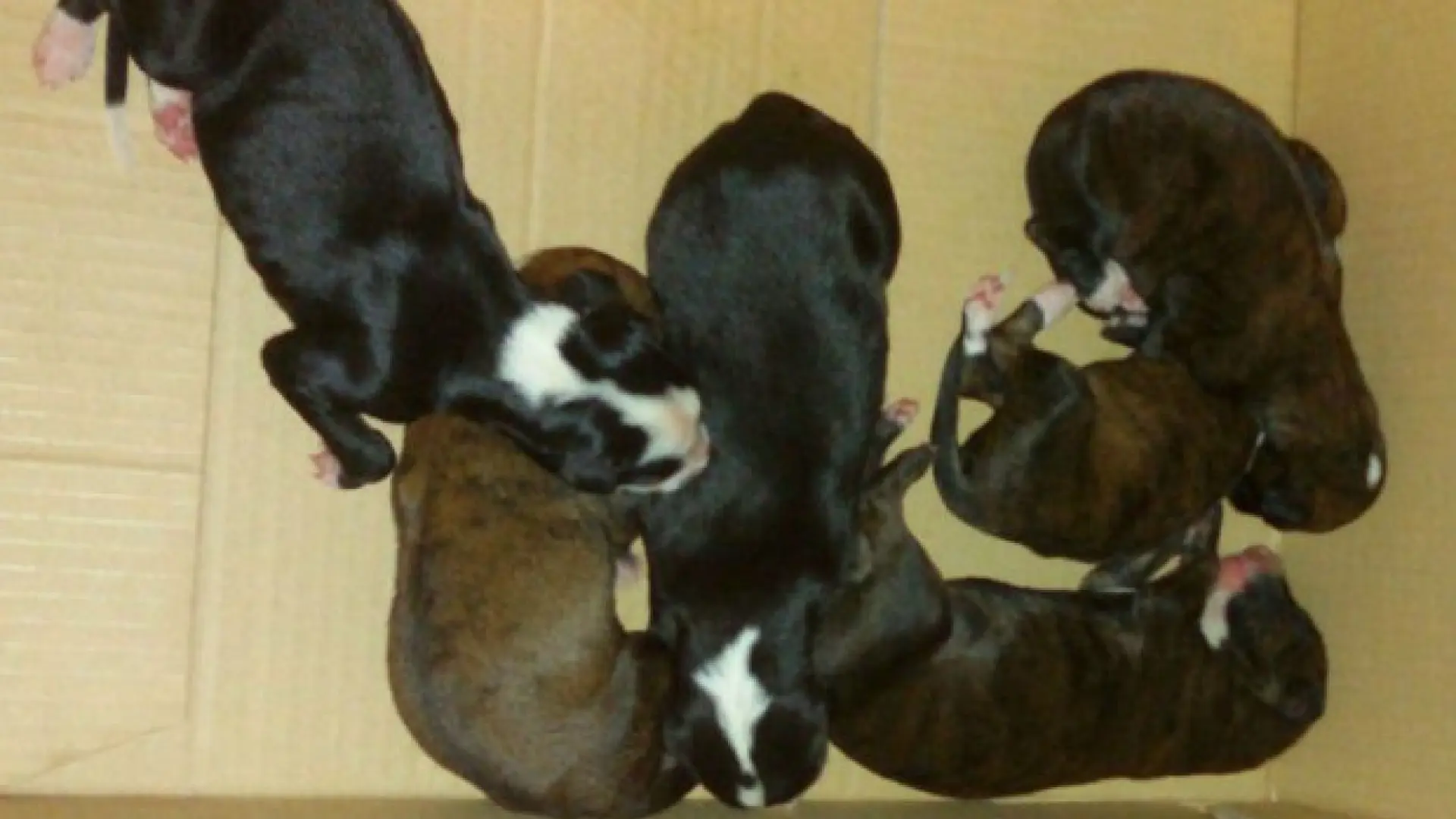 Capítulo 25: Magullado por dentro y por fuera