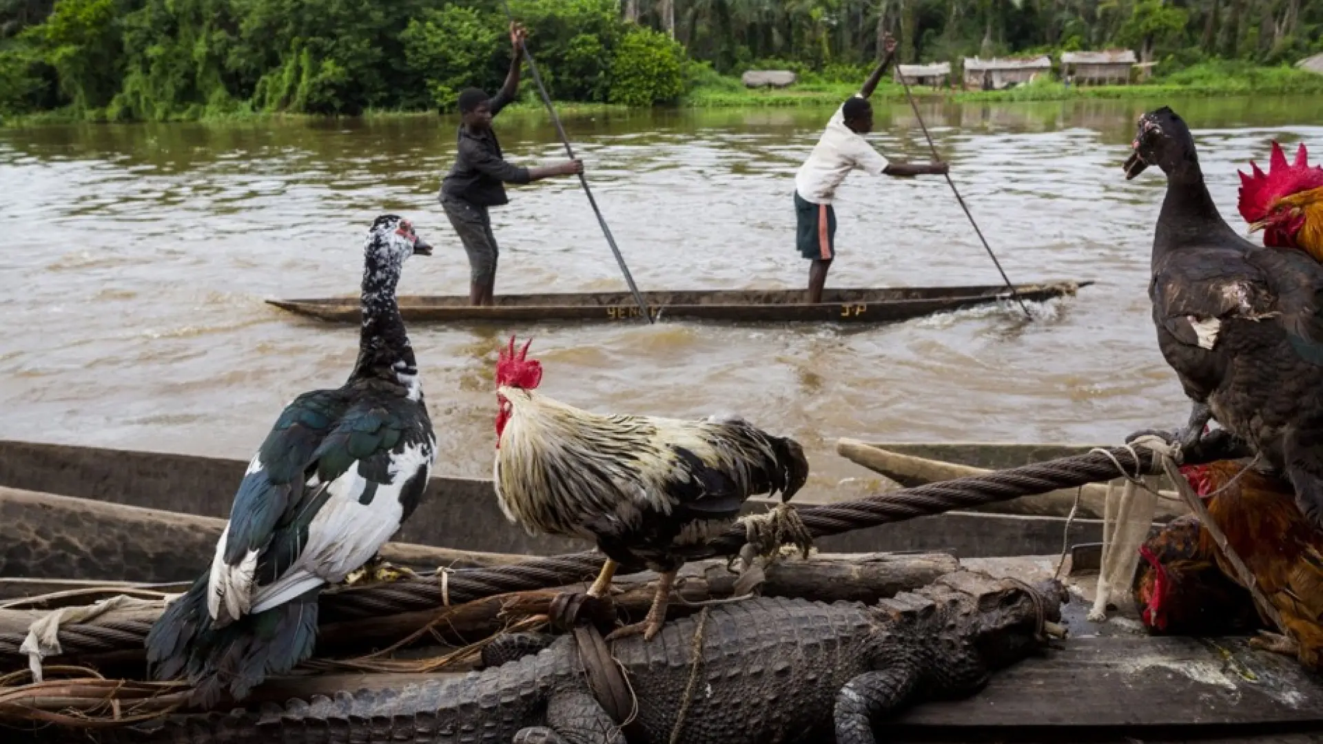 Al menos 41 muertos tras naufragar un barco en un río de la República ...