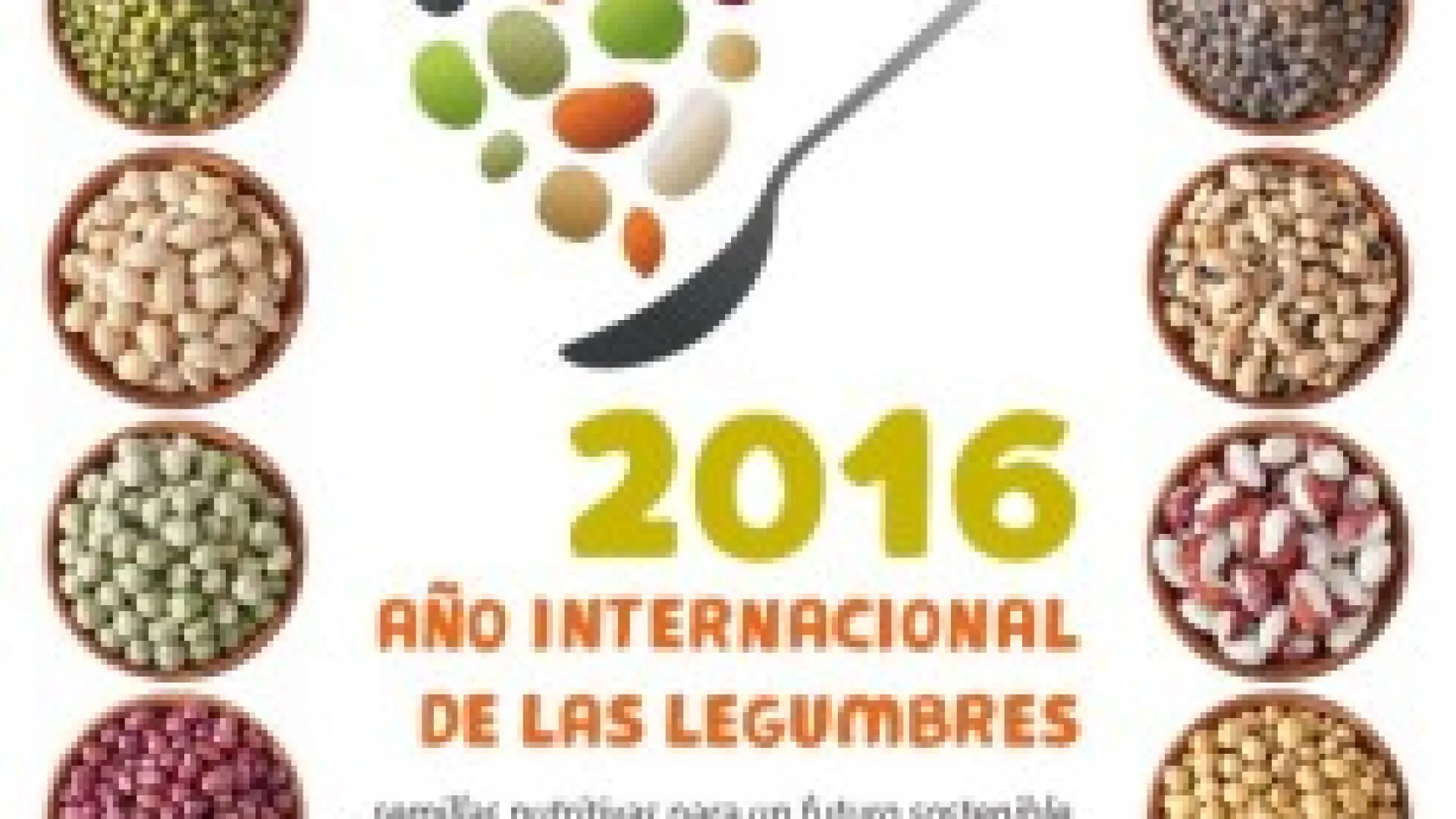 Comemos menos de la mitad de legumbres que hace 25 años