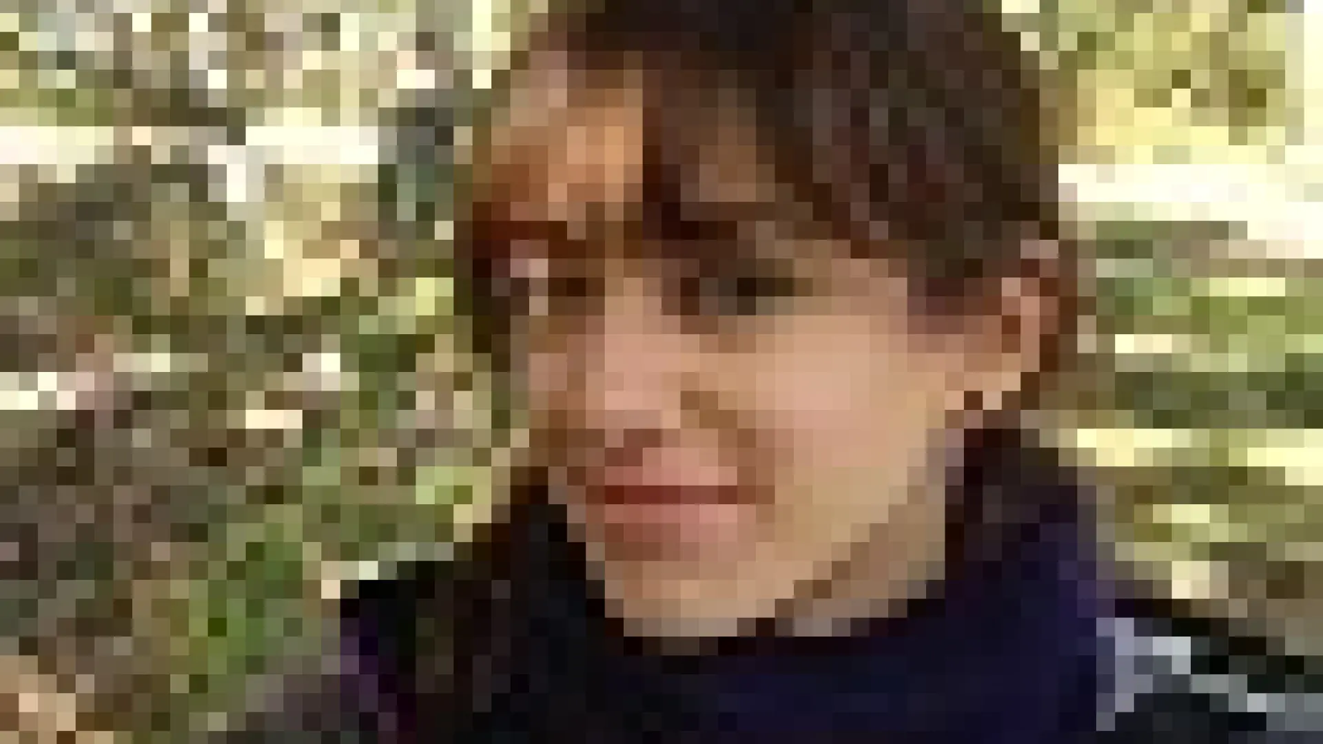 ¿Cómo verías si fueras un perro o un periquito?