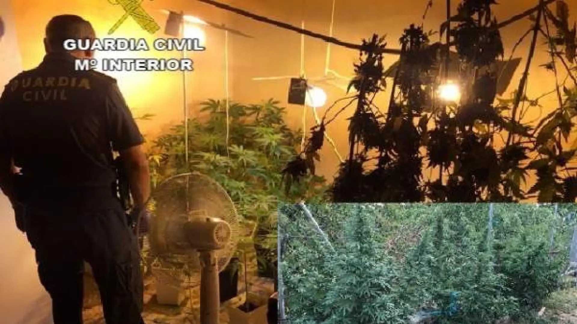 Desarticulado un clan familiar presuntamente dedicado a tráfico de drogas en el norte de la ...