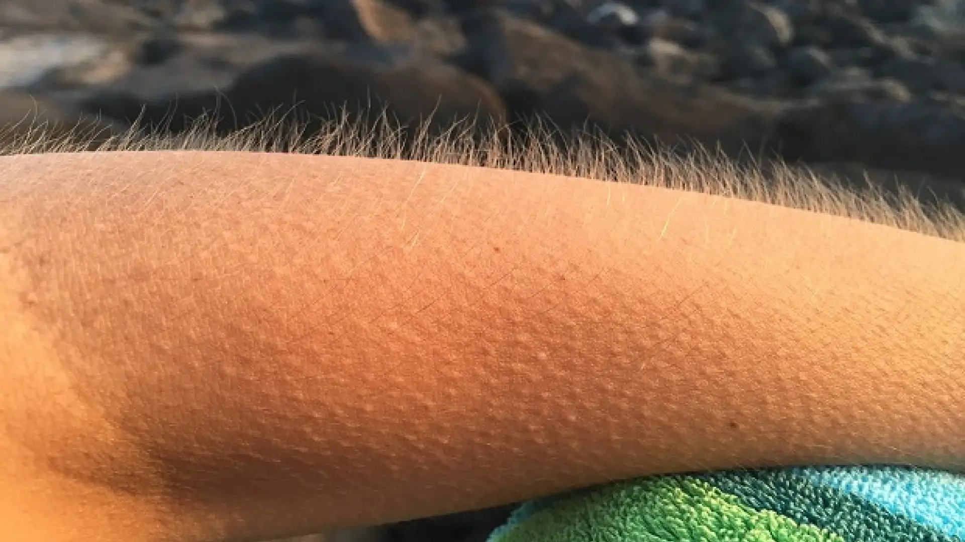 Aborrecer, aburrir y horripilante, tres palabras con un mismo origen ...