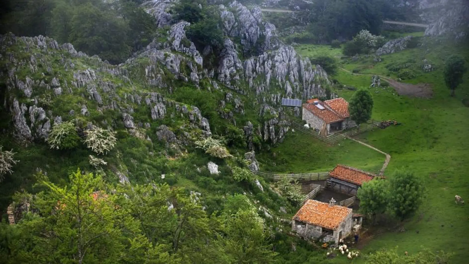 La Ley de Restauración de la Naturaleza, una herramienta necesaria | La ...