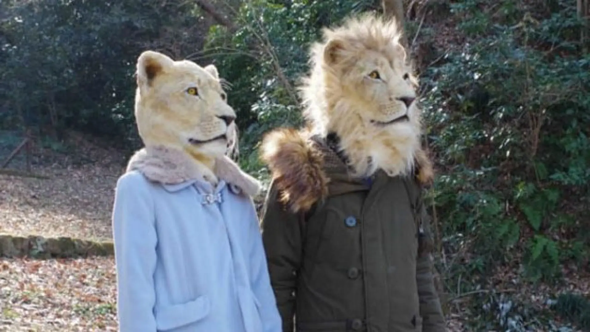 Ser igual que tu animal preferido es más fácil de lo que pensabas