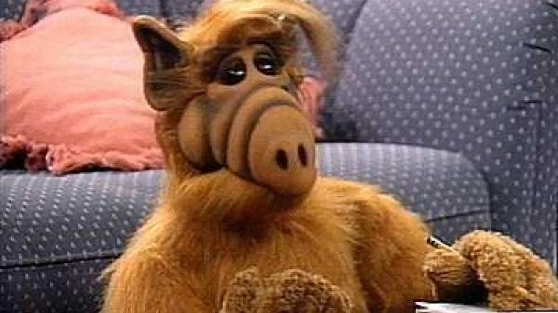 Warner Bros TV está trabajando en el regreso de la serie 'ALF'