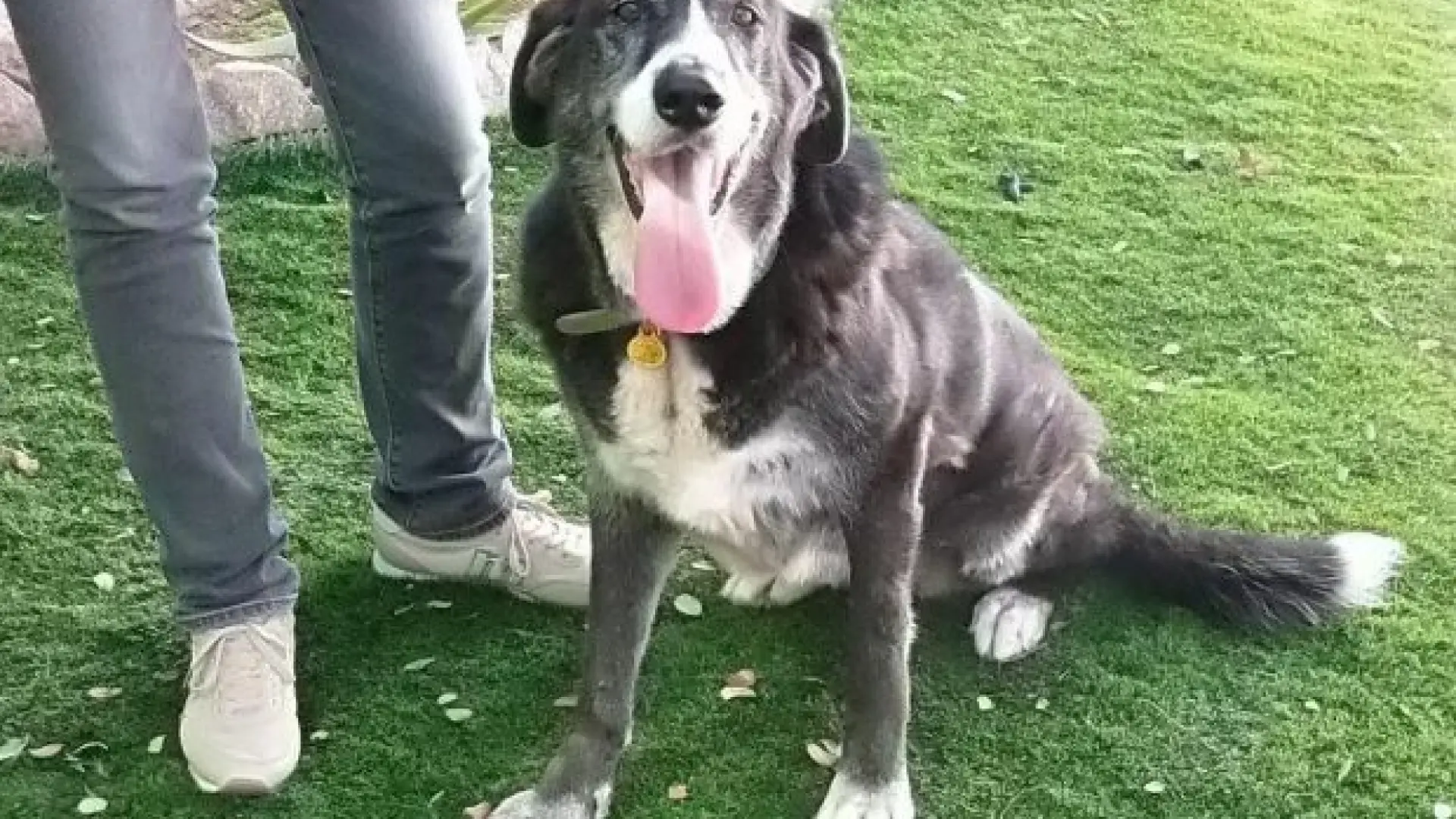 “Nos han devuelto a Begga”