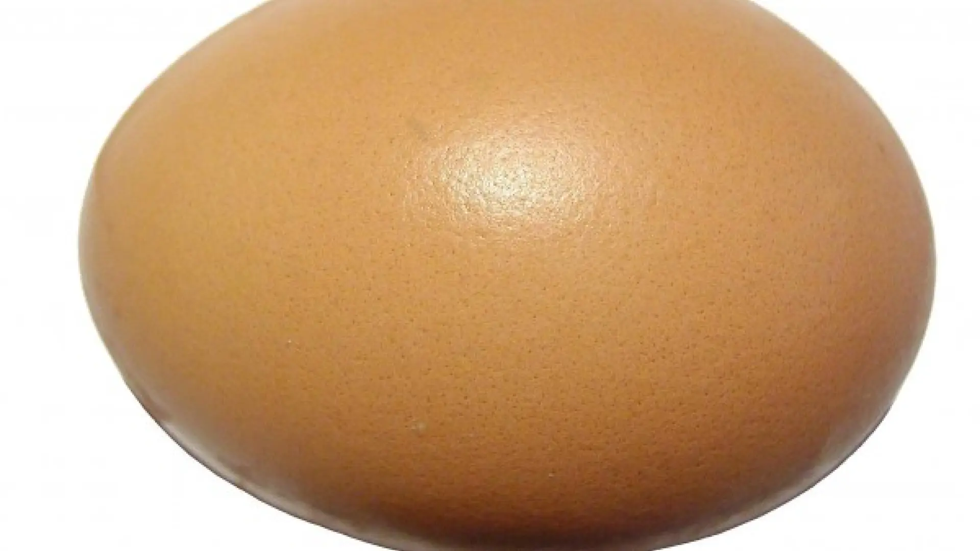 ¿Qué hay detrás del huevo, el nuevo rey de Instagram?