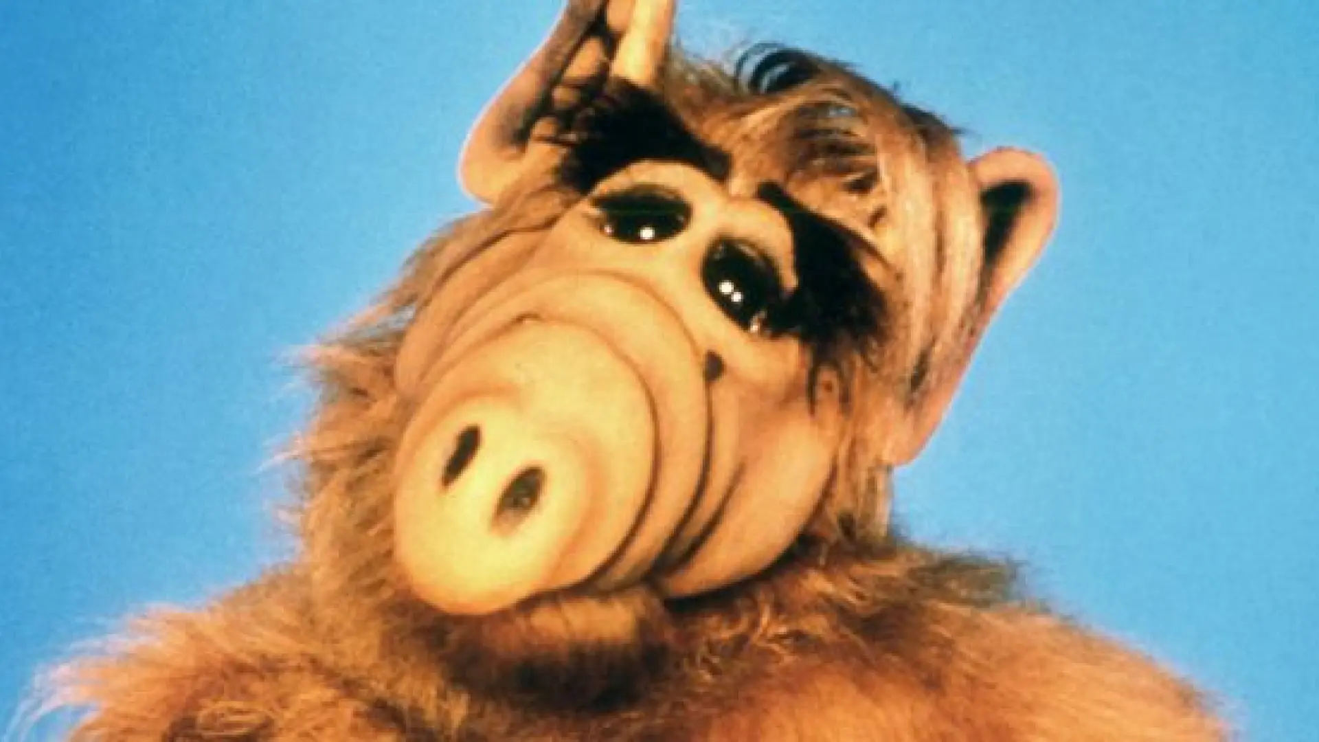 10 curiosidades que no sabías sobre 'ALF'