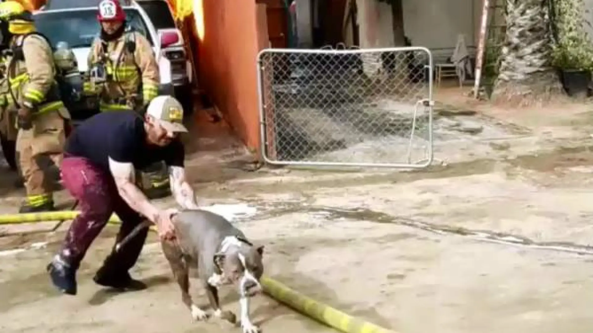 Un hombre se adentra entre las llamas de un incendio para salvar a su perro