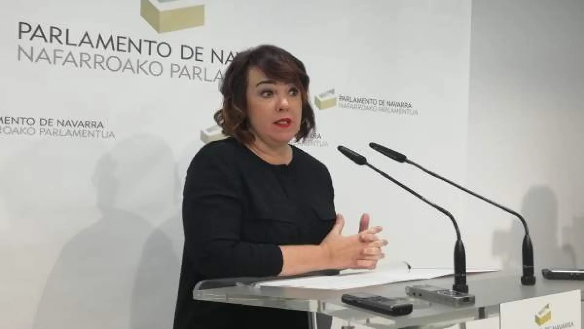 Aznárez: "Lo mejor de esta legislatura ha sido que se ha visto que una ...
