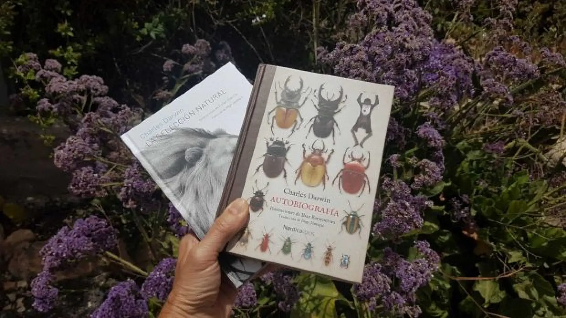 Este verano, métete a Darwin en el bolsillo