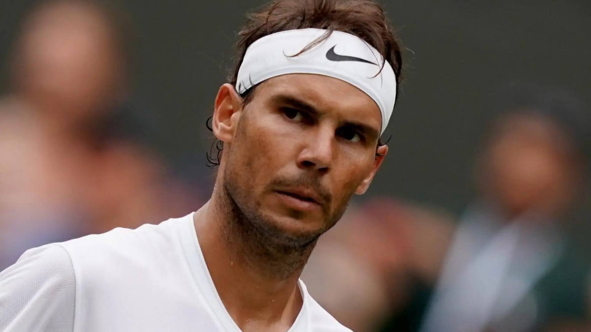 El tenis español hace historia en Wimbledon con cuatro representantes ...