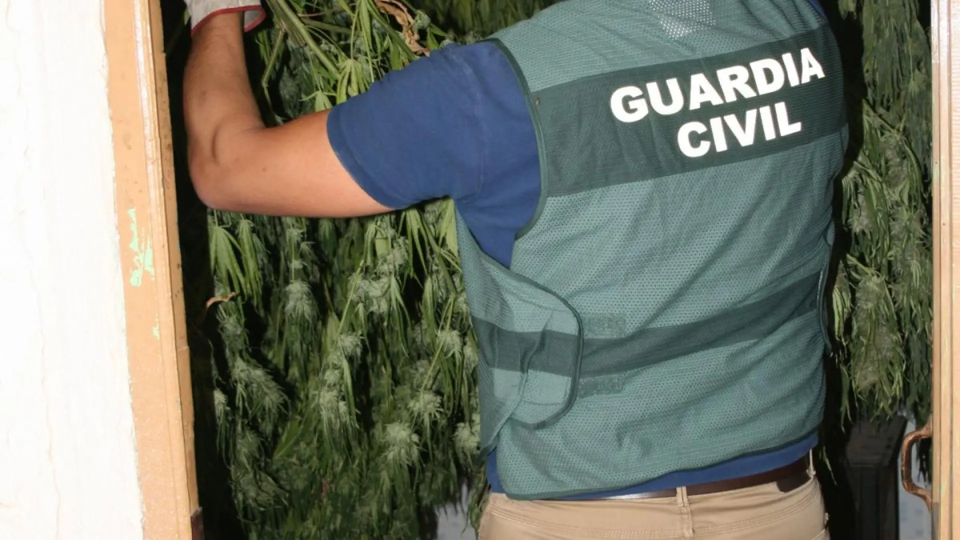 Detenida una persona e investigada otra por cultivo de marihuana en ...