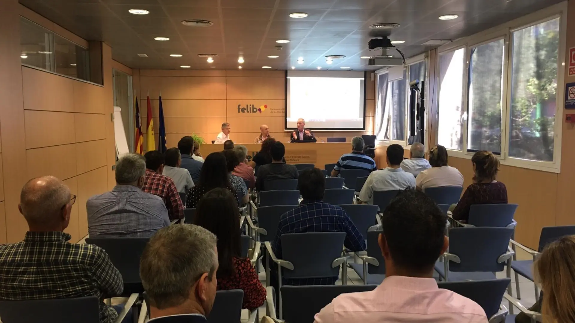 Endesa asesora a los Ayuntamientos de la Felib sobre la nueva ...