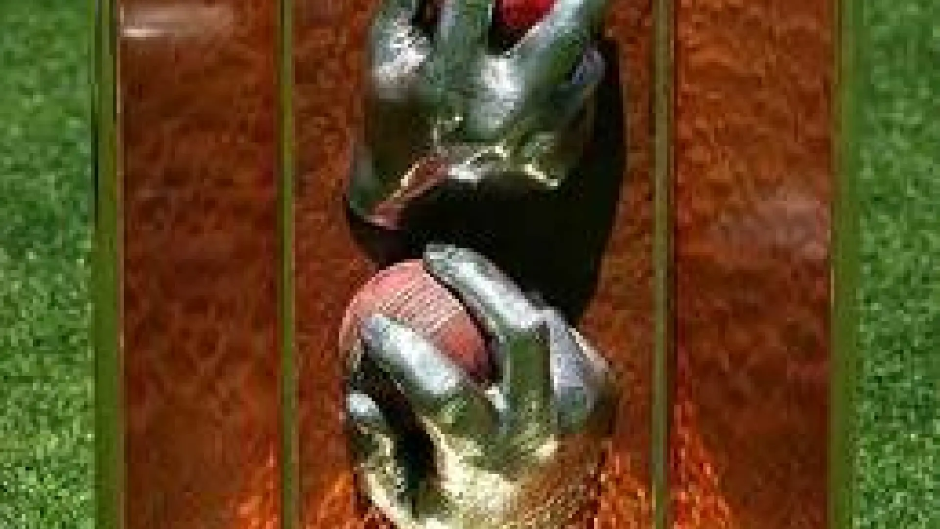 Trofeos, copas y medallas. Trofeo Warne-Muralitharan: parece sacado de ...