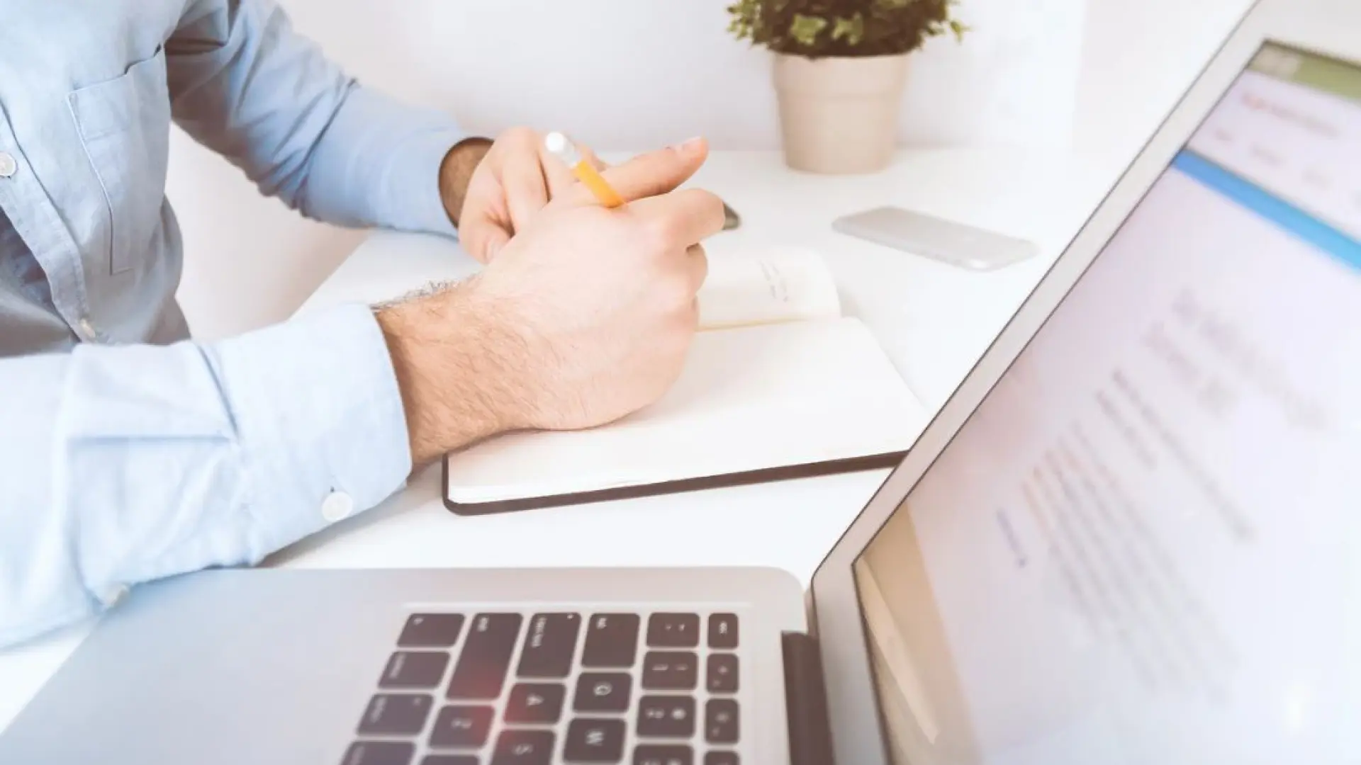 Qué es el informe de vida laboral, qué información contiene y cómo ...