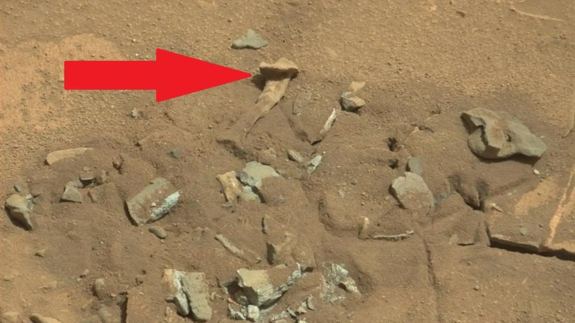 La curiosa historia del fracaso de la sonda Mars Climate Orbiter: un ...