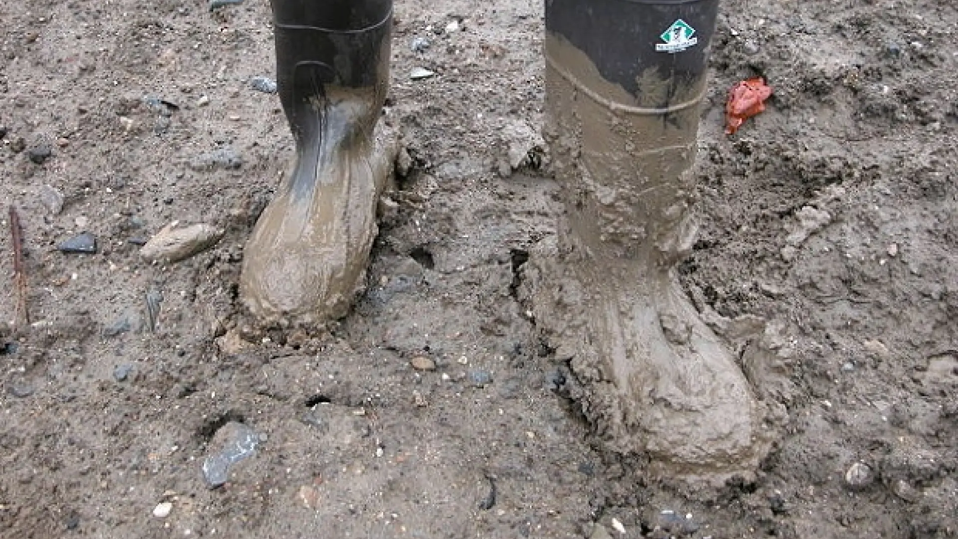 ¿De dónde surge la expresión ‘De aquellos polvos, estos lodos’?