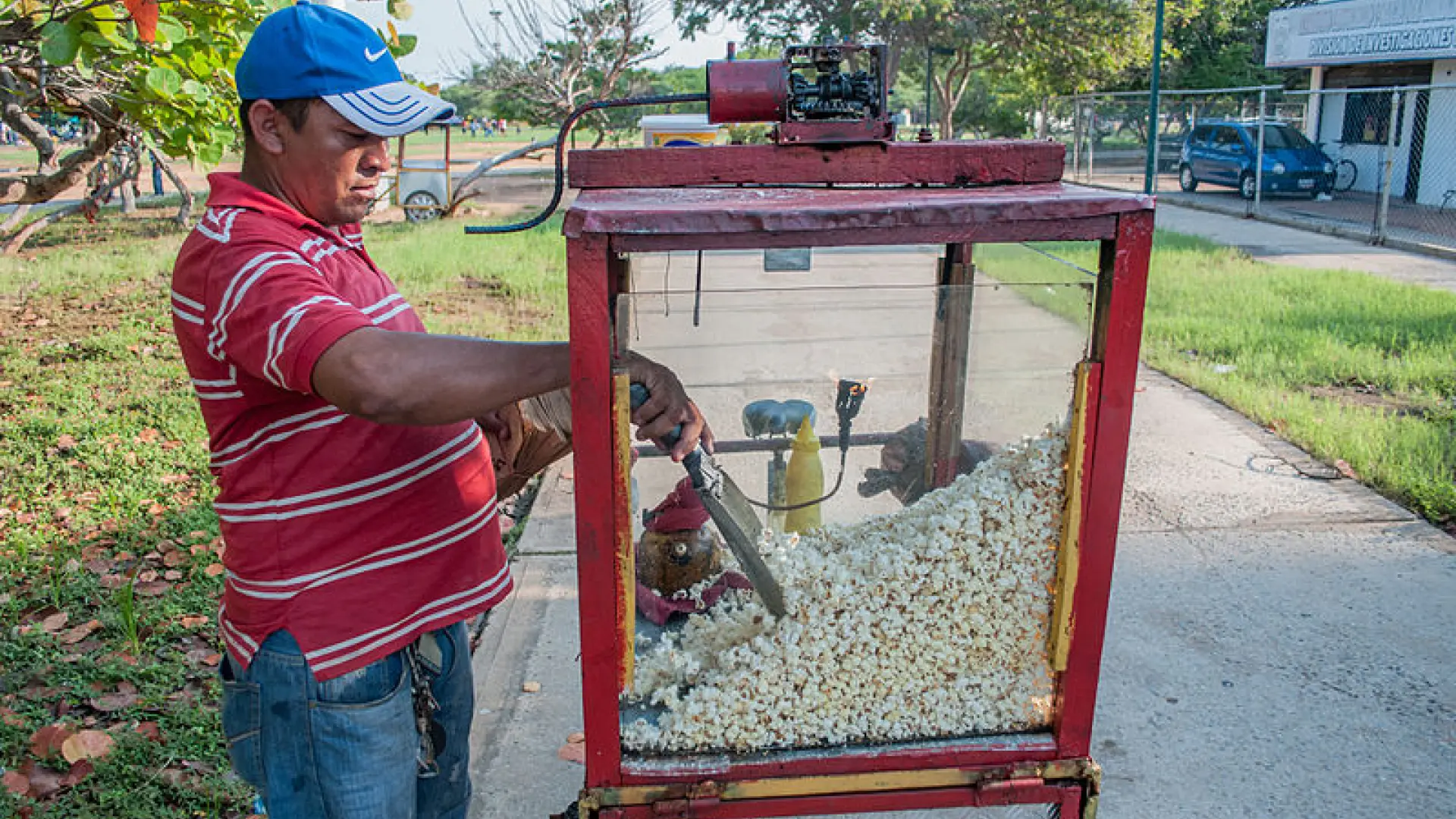 Palabras distintas para nombrar una misma cosa en español