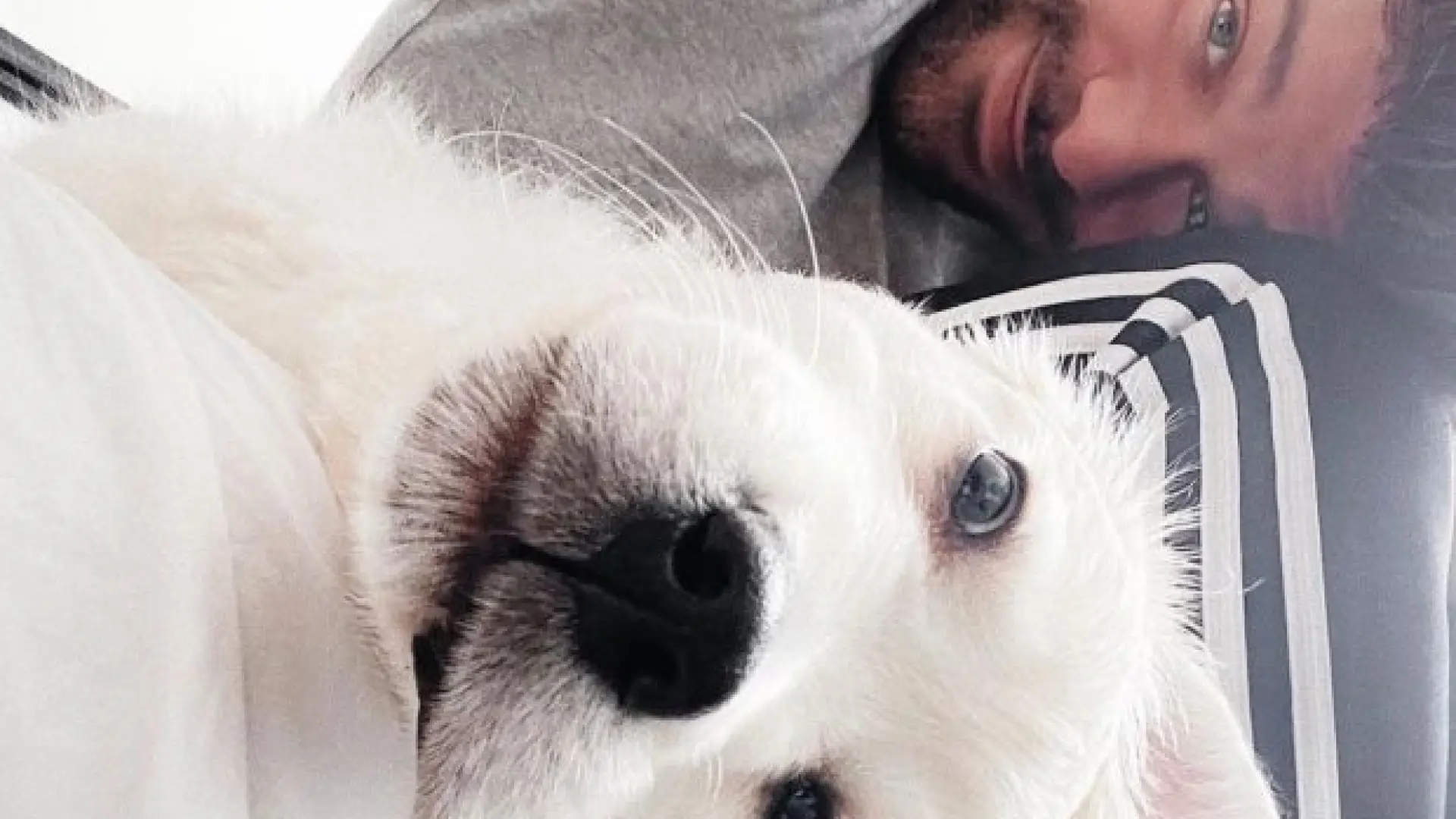 El gran cambio de Bubu, el perro de Ricky Merino (OT 2017)