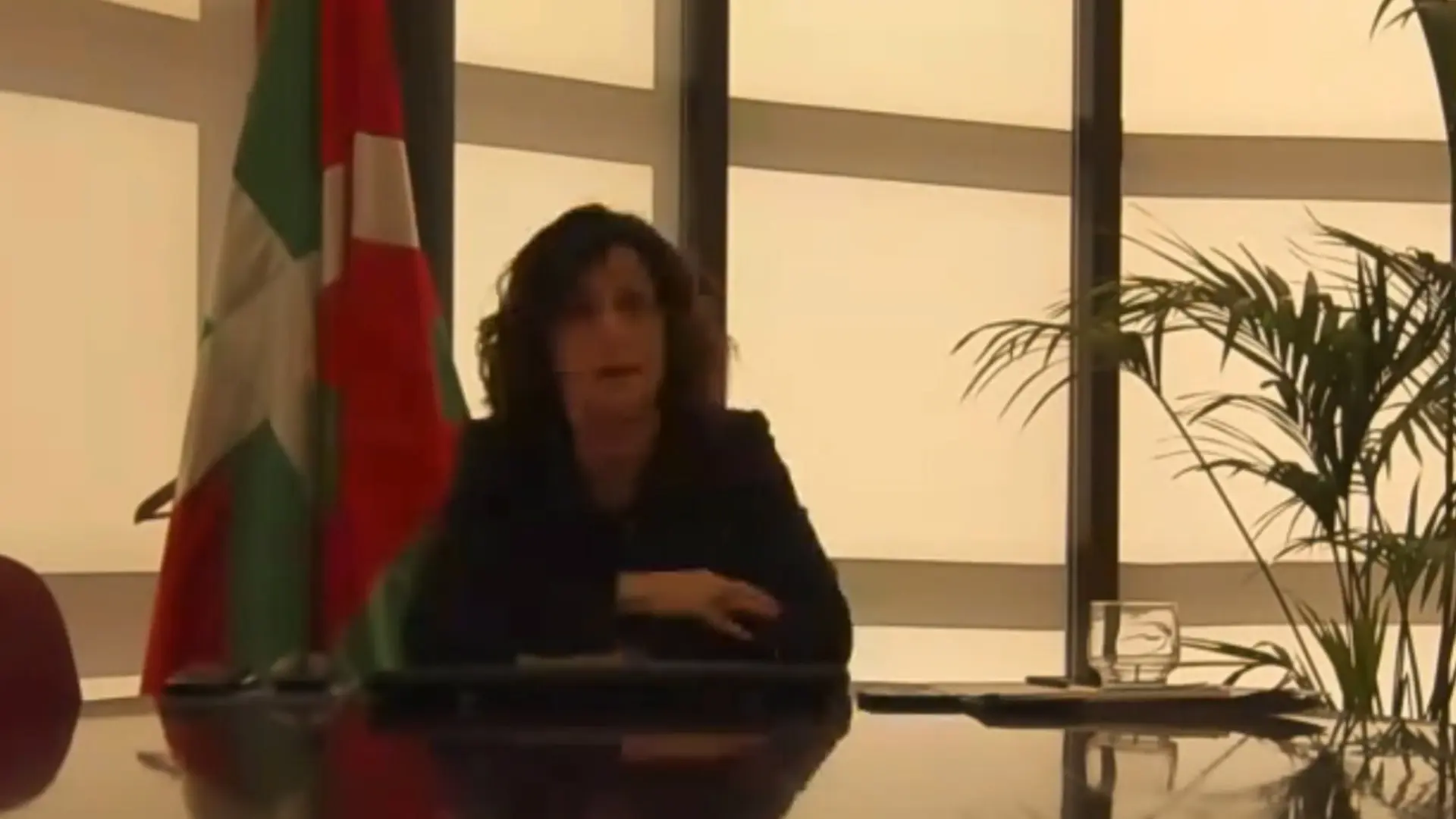 Vídeo: María Ángeles Elorza pide una "auténtica gobernanza multinivel ...