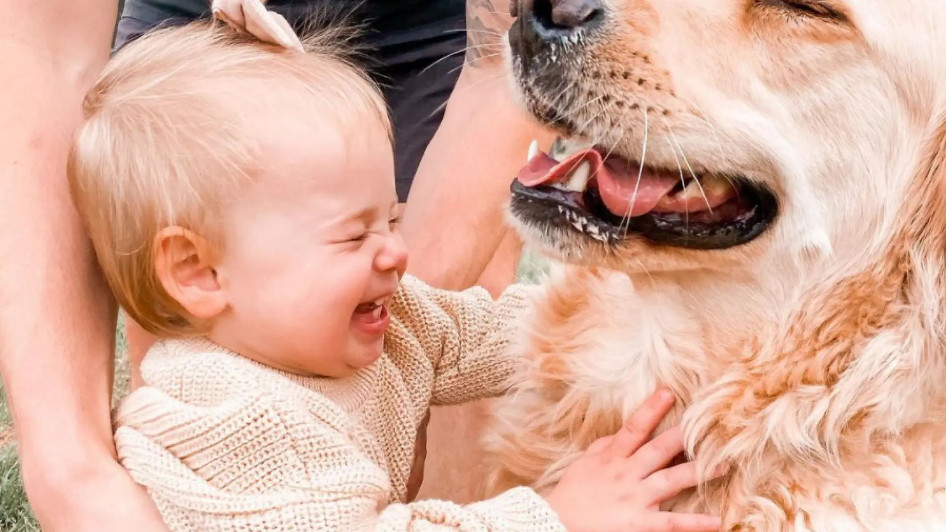 La cuenta de Instagram que recoge la tierna amistad entre un perro y un ...
