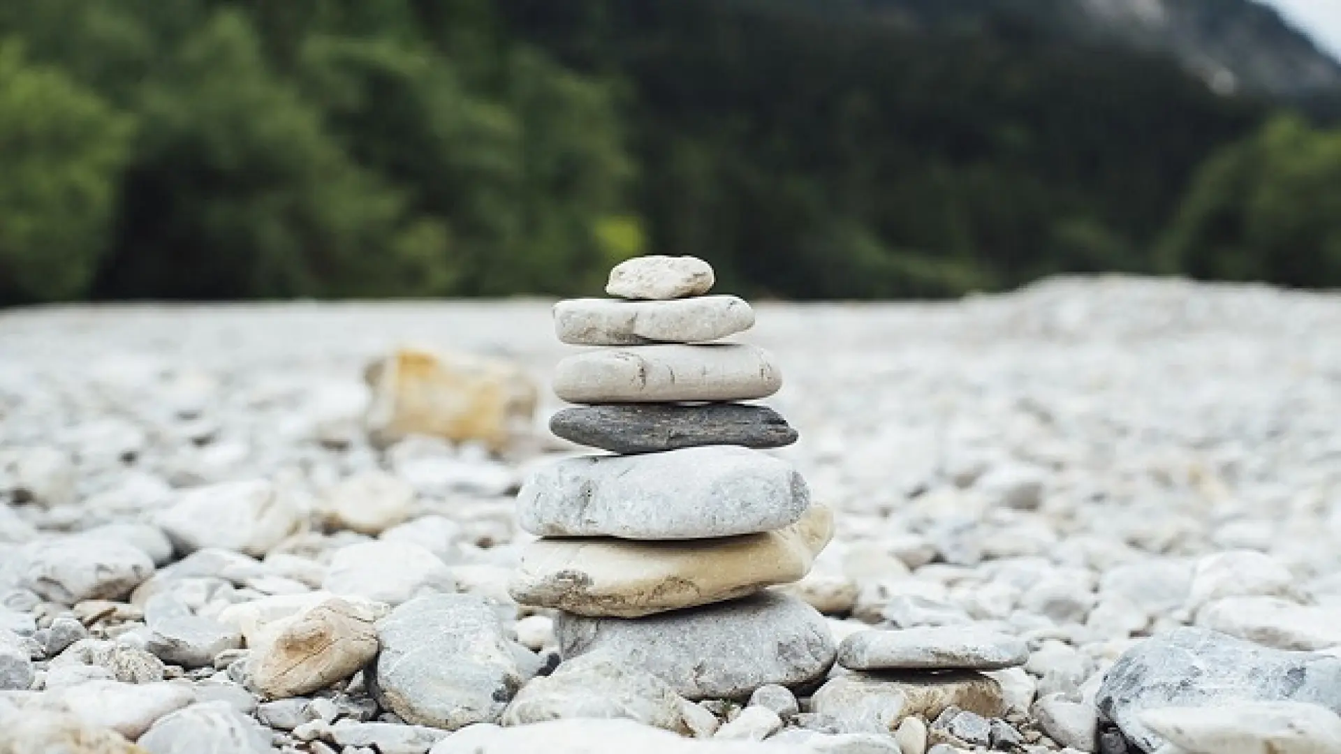 Lápida, dilapidar y lapidar, tres términos con una misma raíz ...