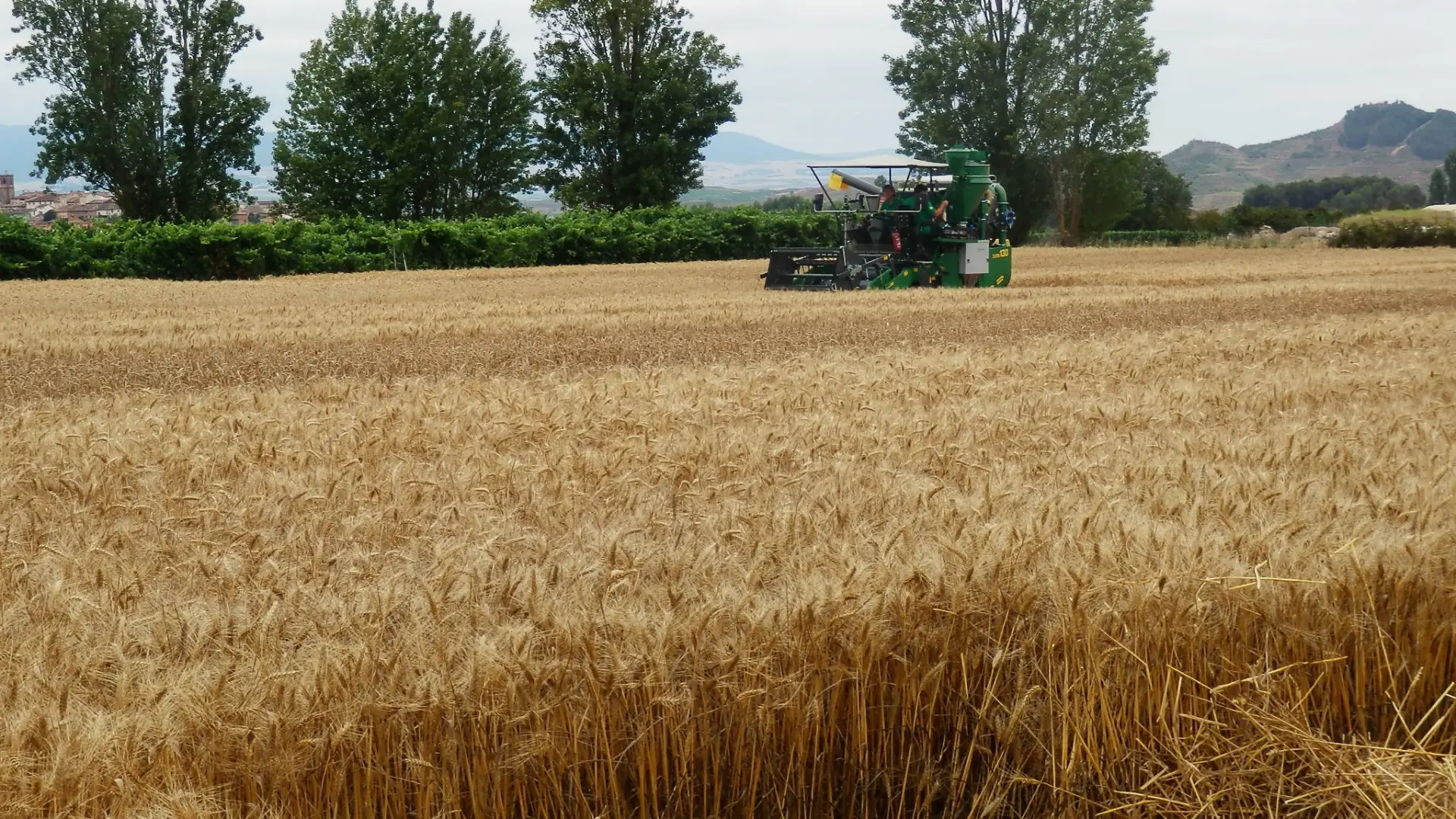 ¿Existen alguna norma legal para cerrar o vallar las fincas rústicas ...