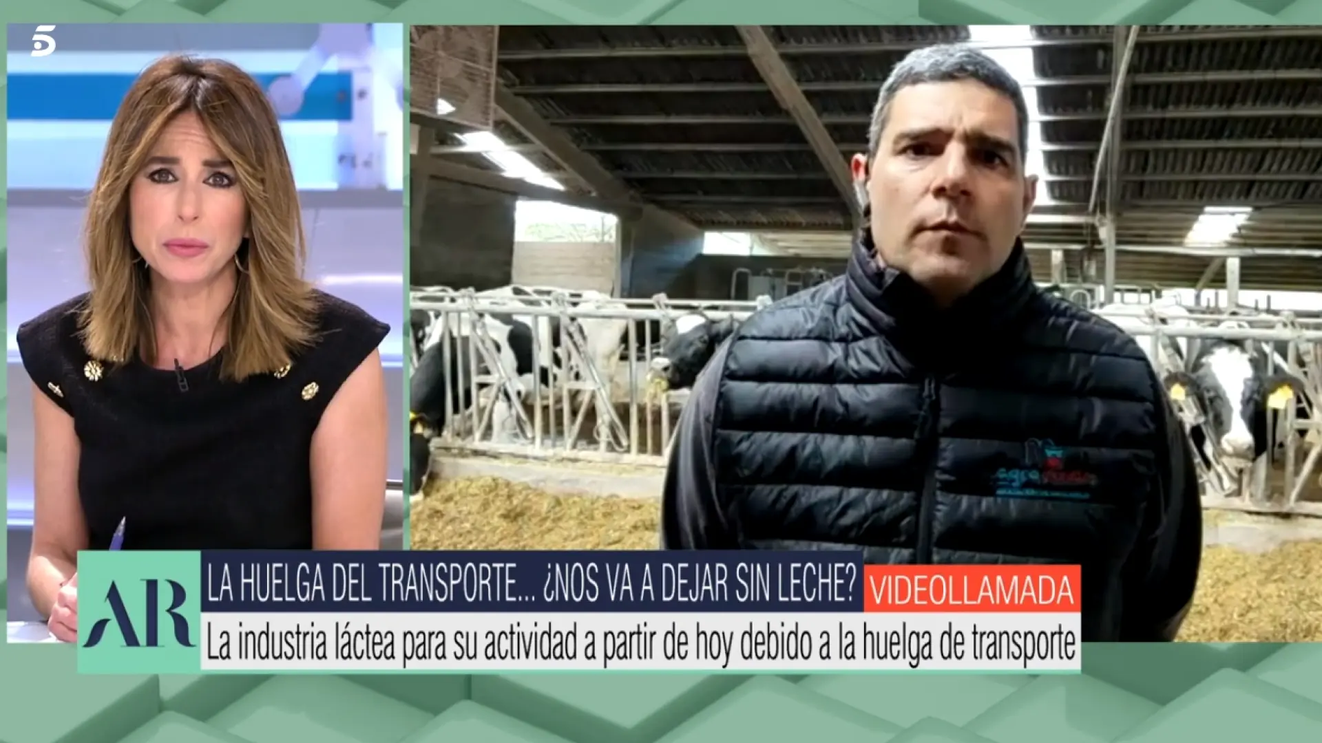 El grito desesperado del ganadero Roberto López en 'El programa de Ana Rosa': "No vais a tener ...
