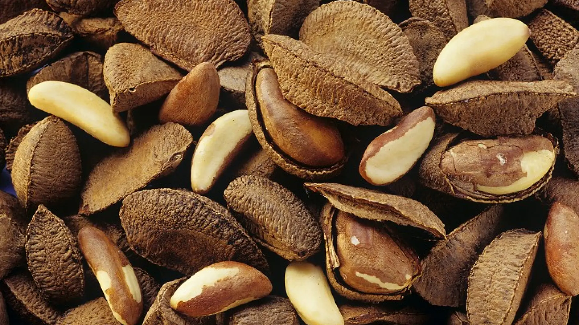 Receta de rollos de canela sin gluten con las saludables y ricas en ...