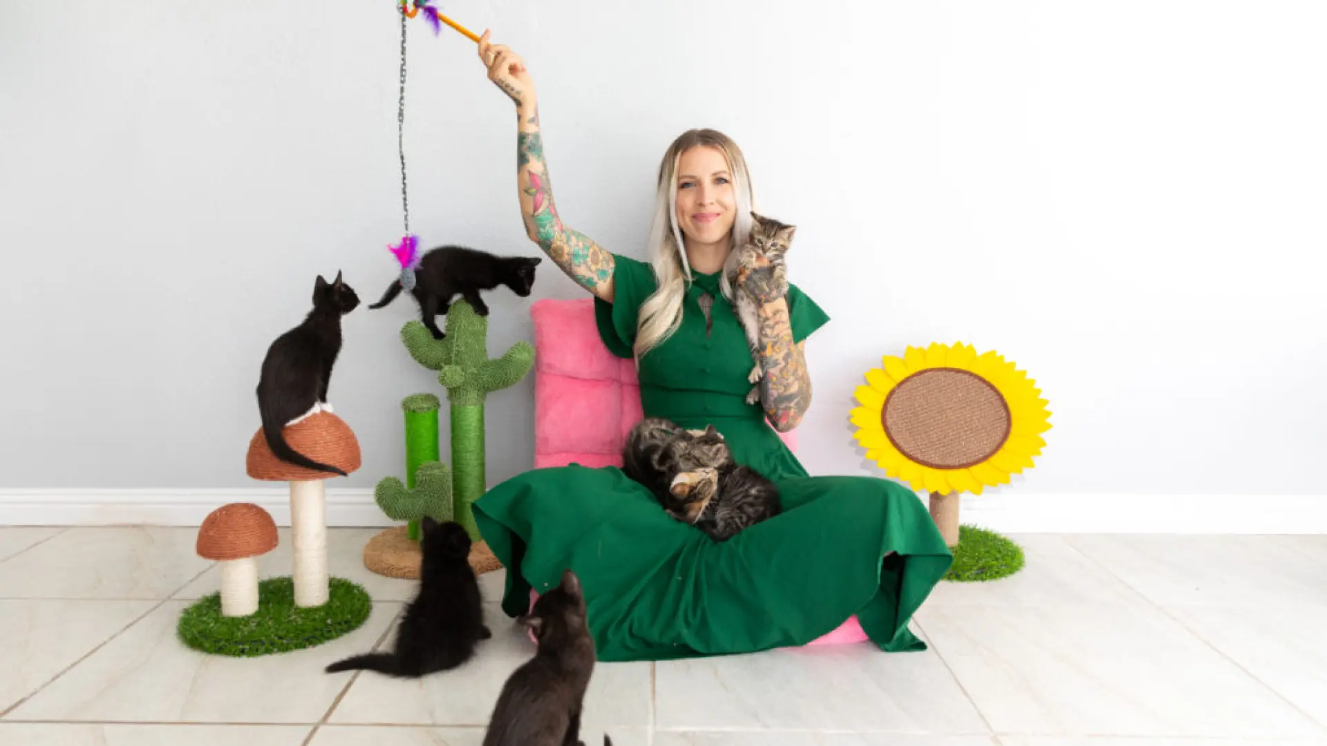 Hannah Shaw, 'rescatadora' profesional: "Separar a un cachorro de gato ...