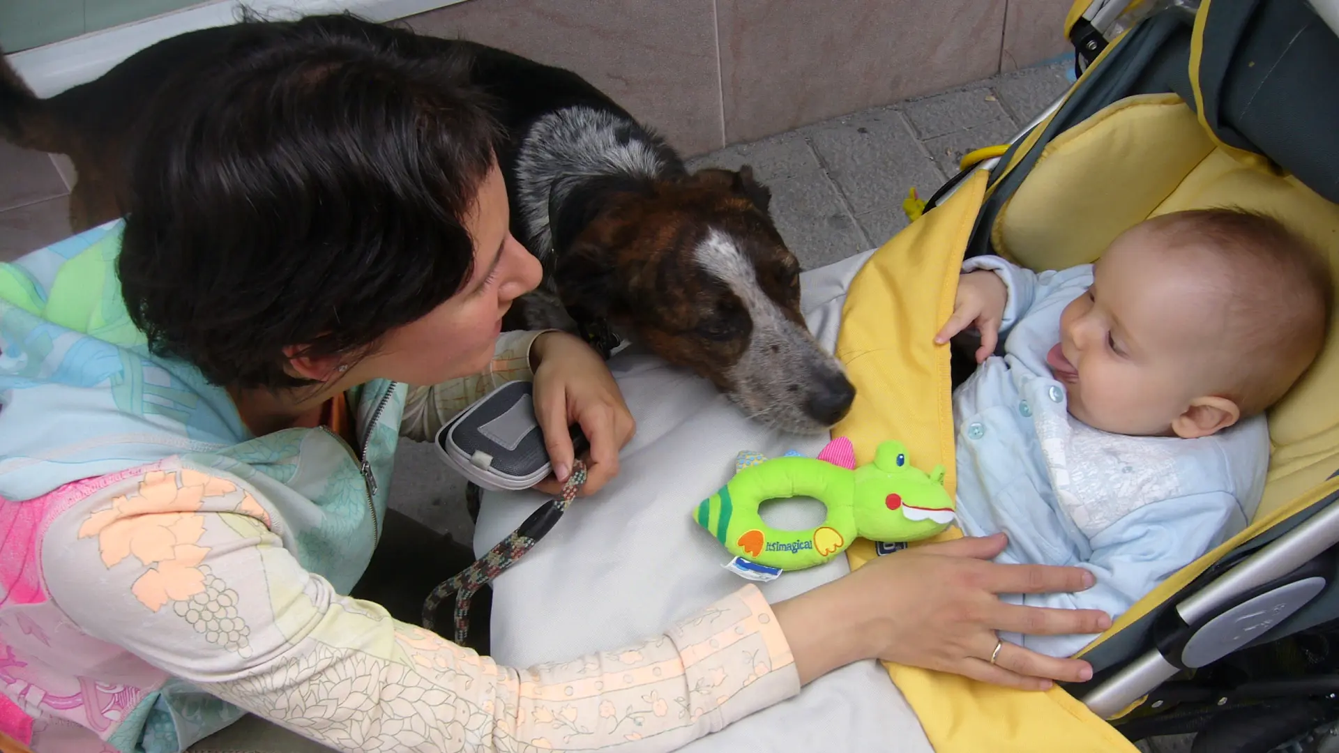 Qué hacer para que el perro acepte a nuestro nuevo bebé: "Jugar con ...