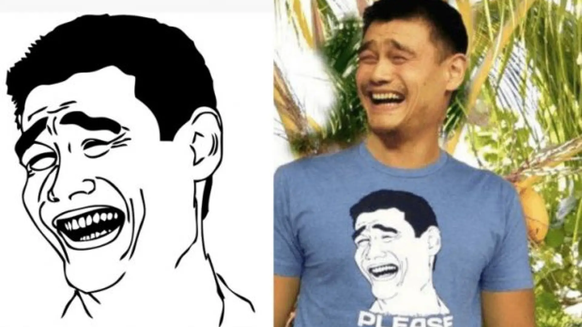 Yao Ming Dalam Memes Yao Ming GIFs | Tenor