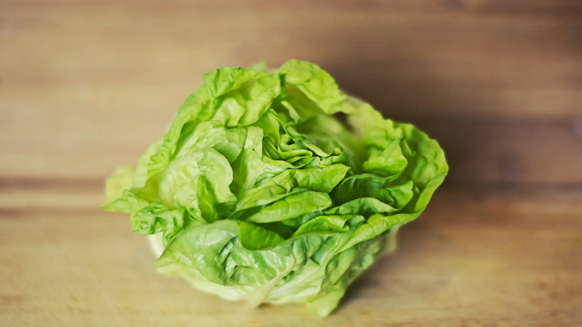 Cómo con un poco de harina puedes hacer que la lechuga dure más tiempo ...