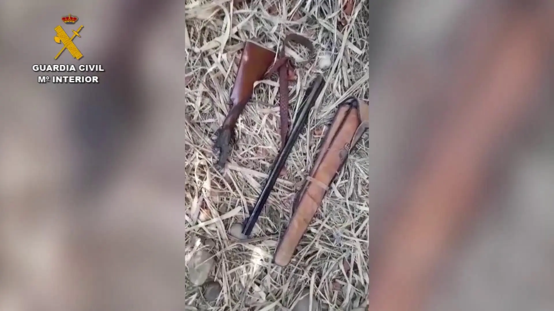 Vídeo: La Guardia Civil detiene a dos vecinos de Fuente Palmera como presuntos autores de un robo