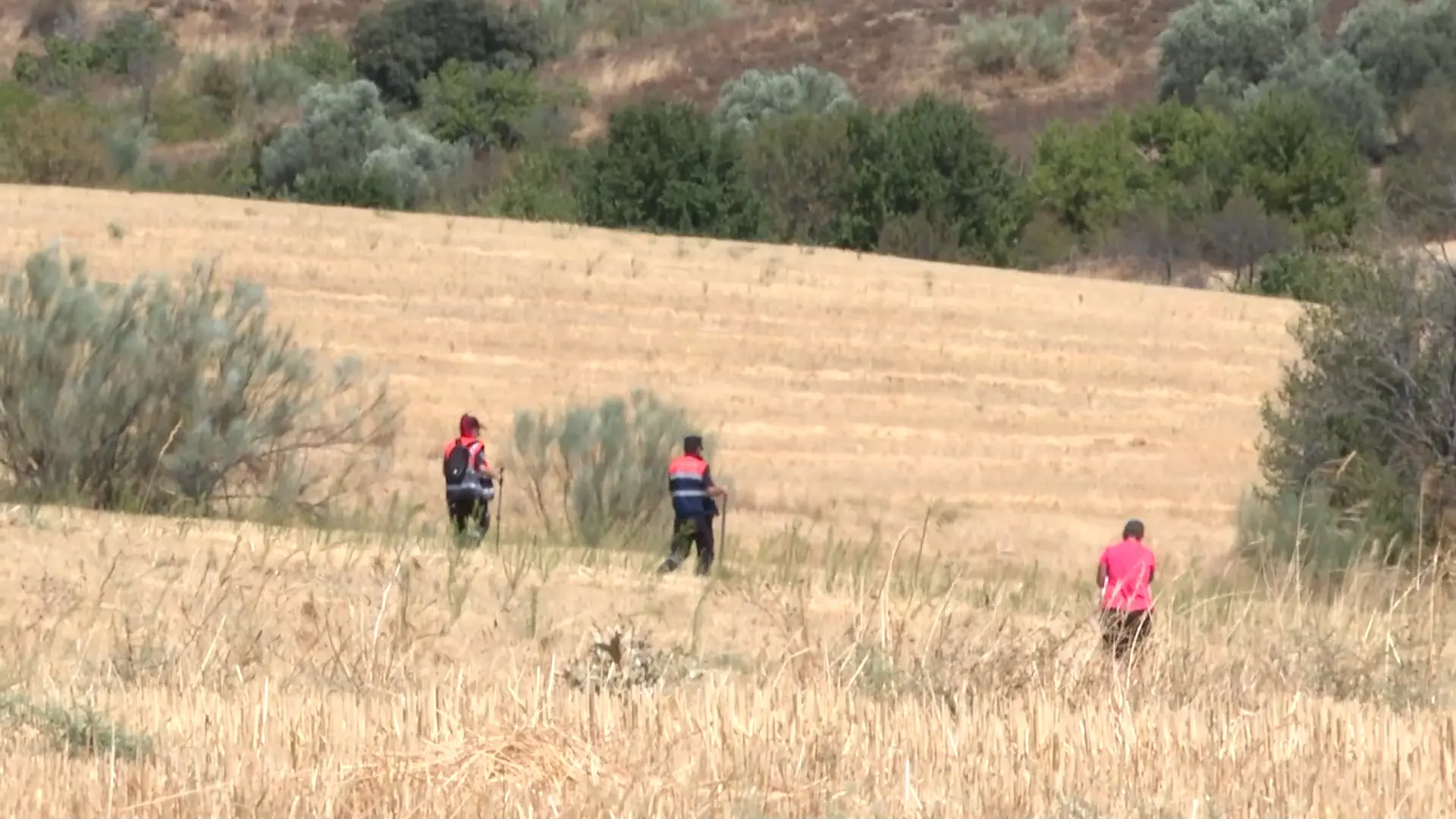 Una aplicación móvil, una pista y 250 personas para dar con el paradero ...