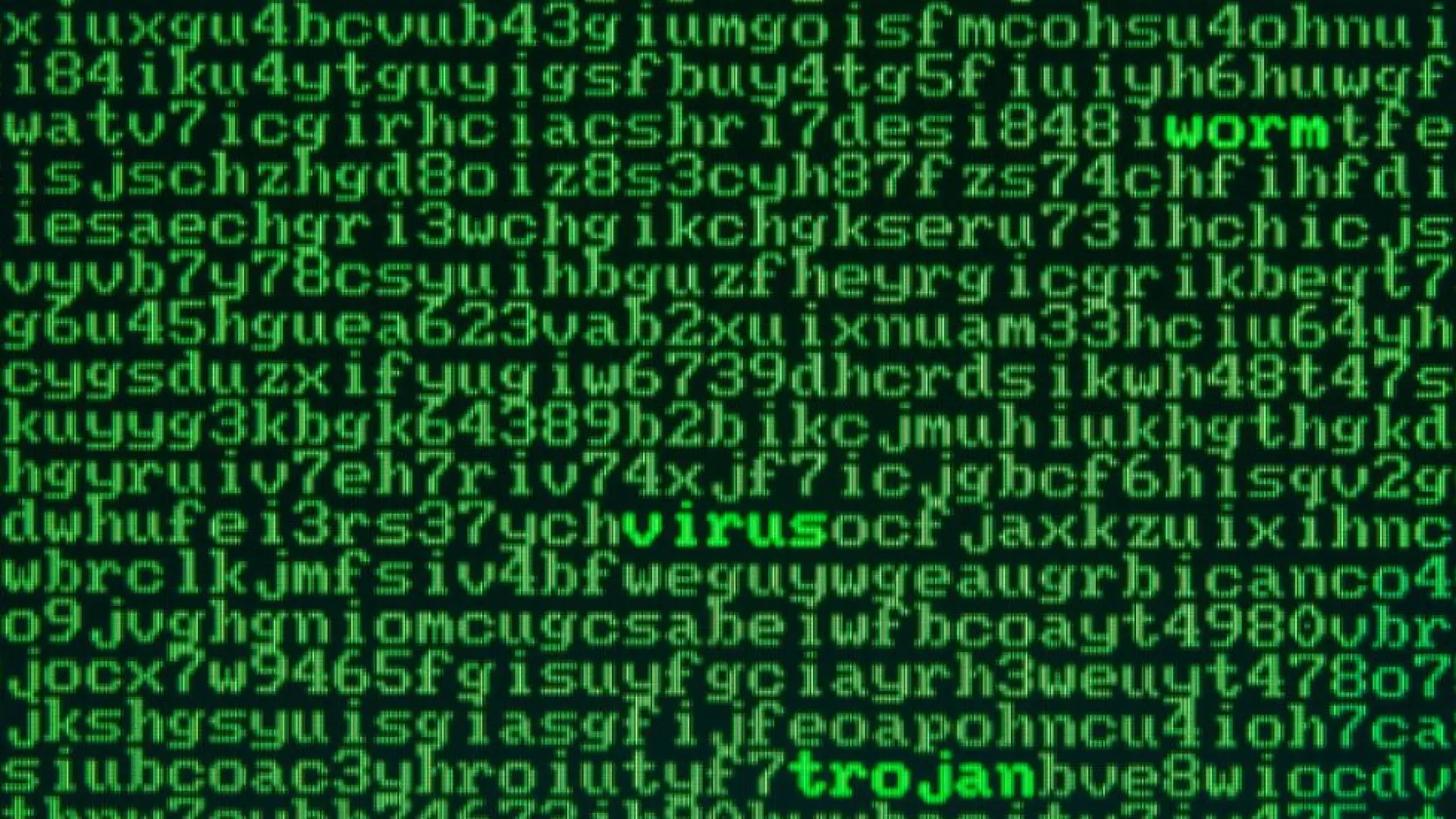 "Estamos bajo ataque": se cumplen 34 años del 'gusano Morris', el primer malware de la historia