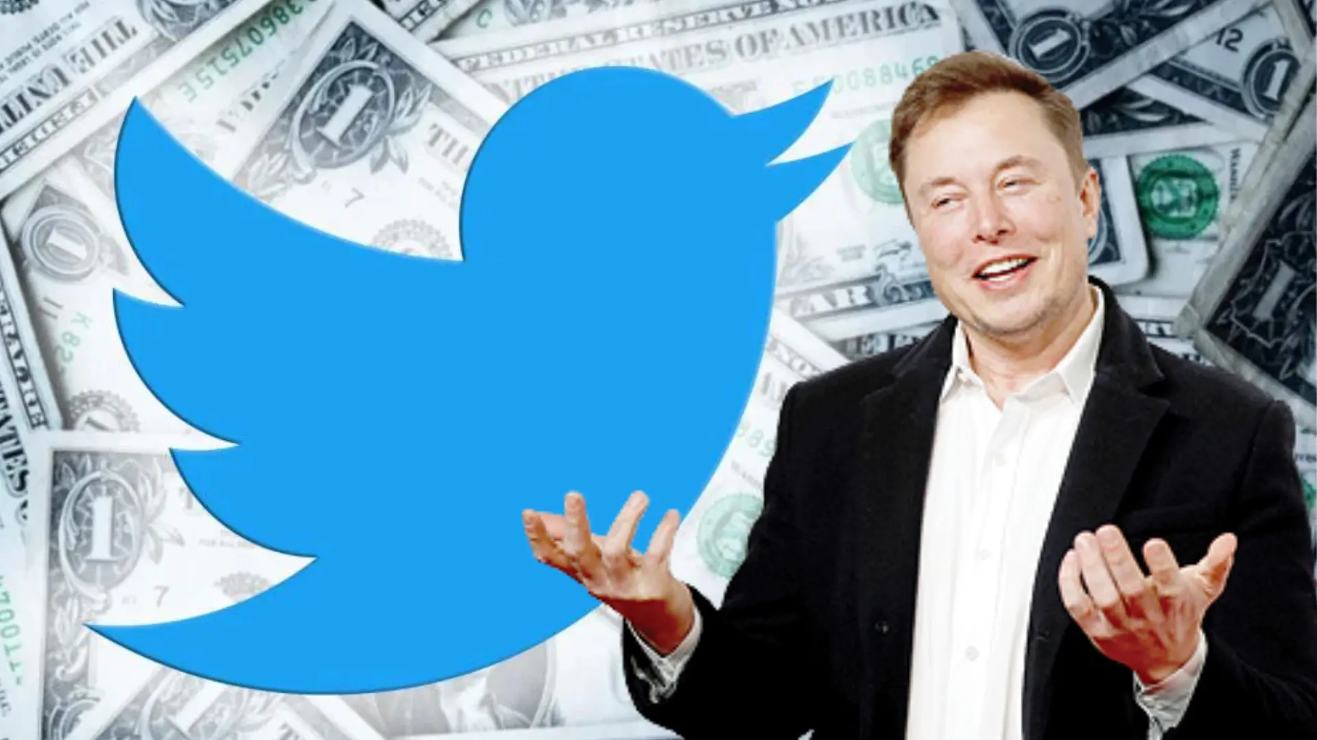 ¿Quiere Musk convertir Twitter en otro Only Fans? La plataforma prepara ...