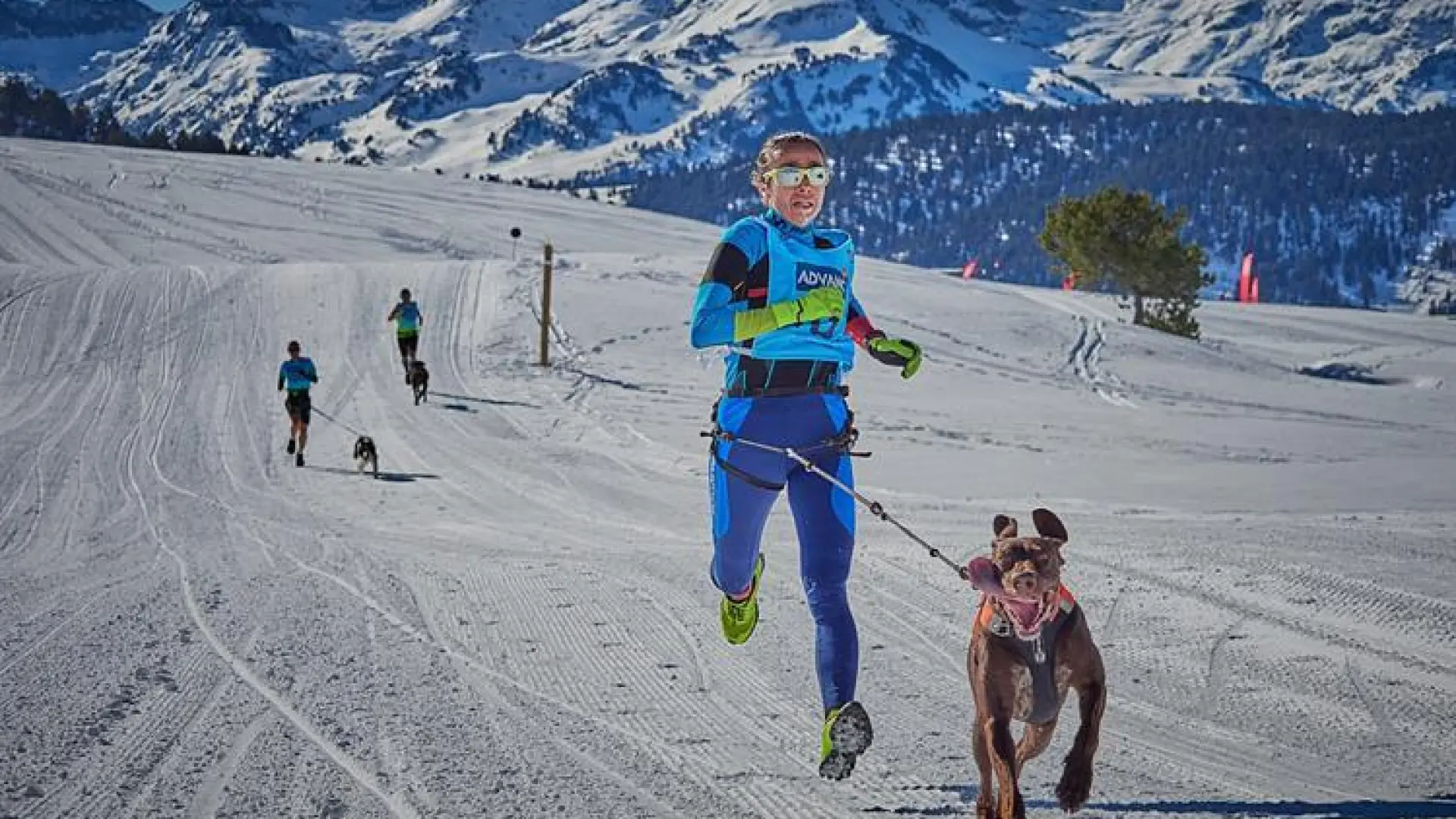 España quiere hacer historia en el Campeonato de Europa de Mushing Tierra