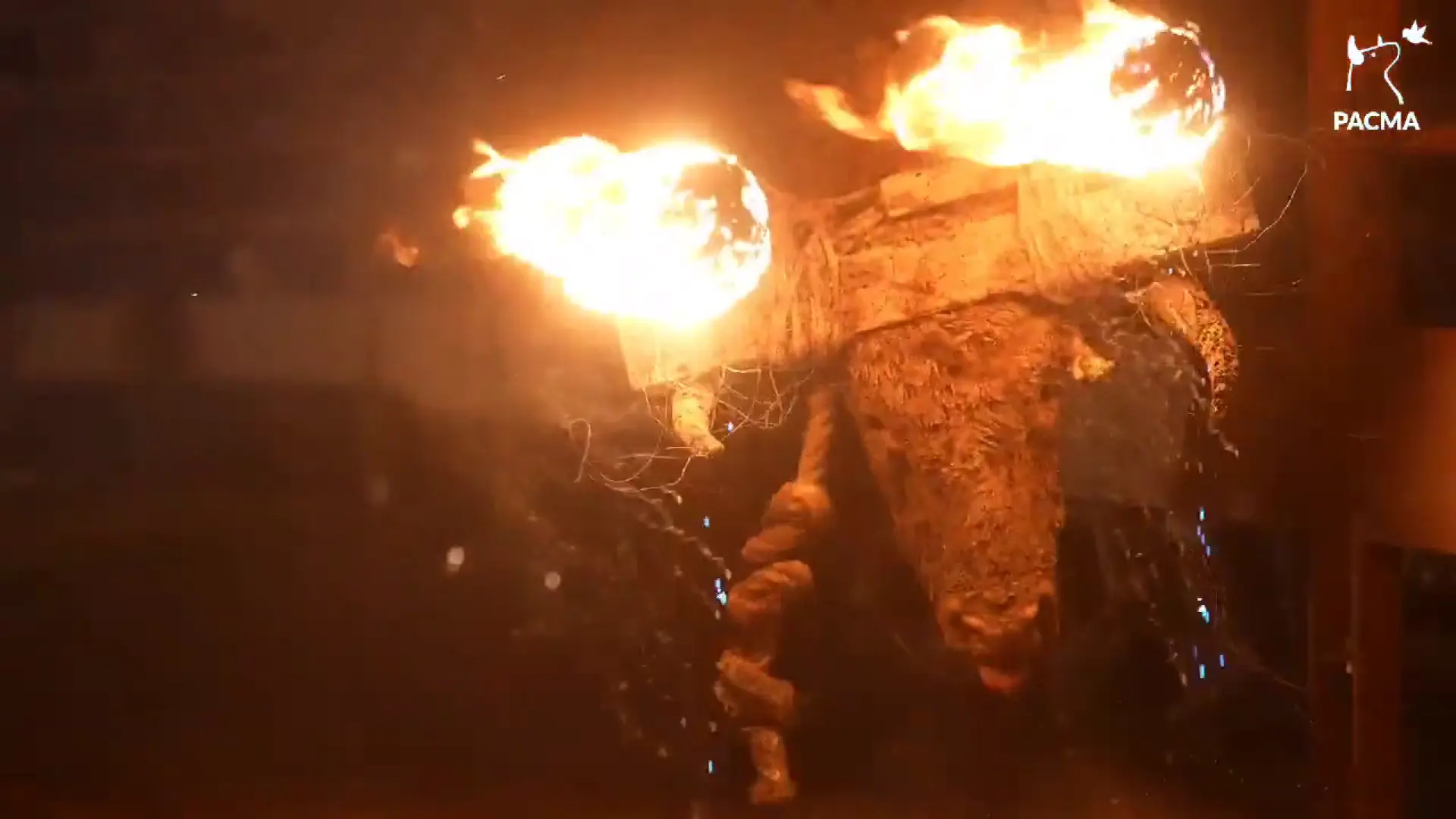 Medinaceli blinda de los animalistas la celebración de su tradición del ...