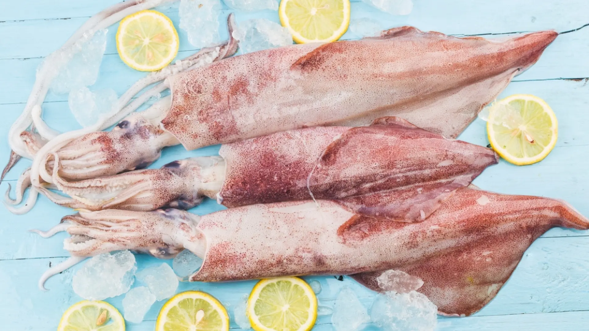 ¿Son lo mismo los calamares y los chipirones? Diferencias y similitudes