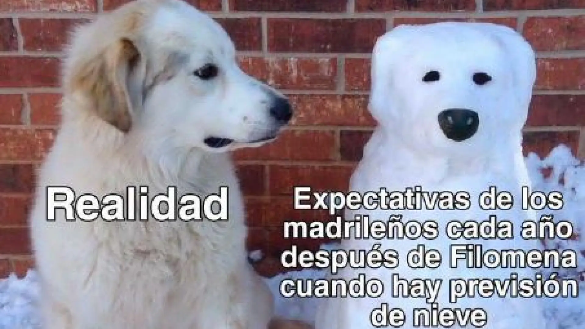 "Así estamos por Madrid...": las bromas y los memes inundan las redes ...