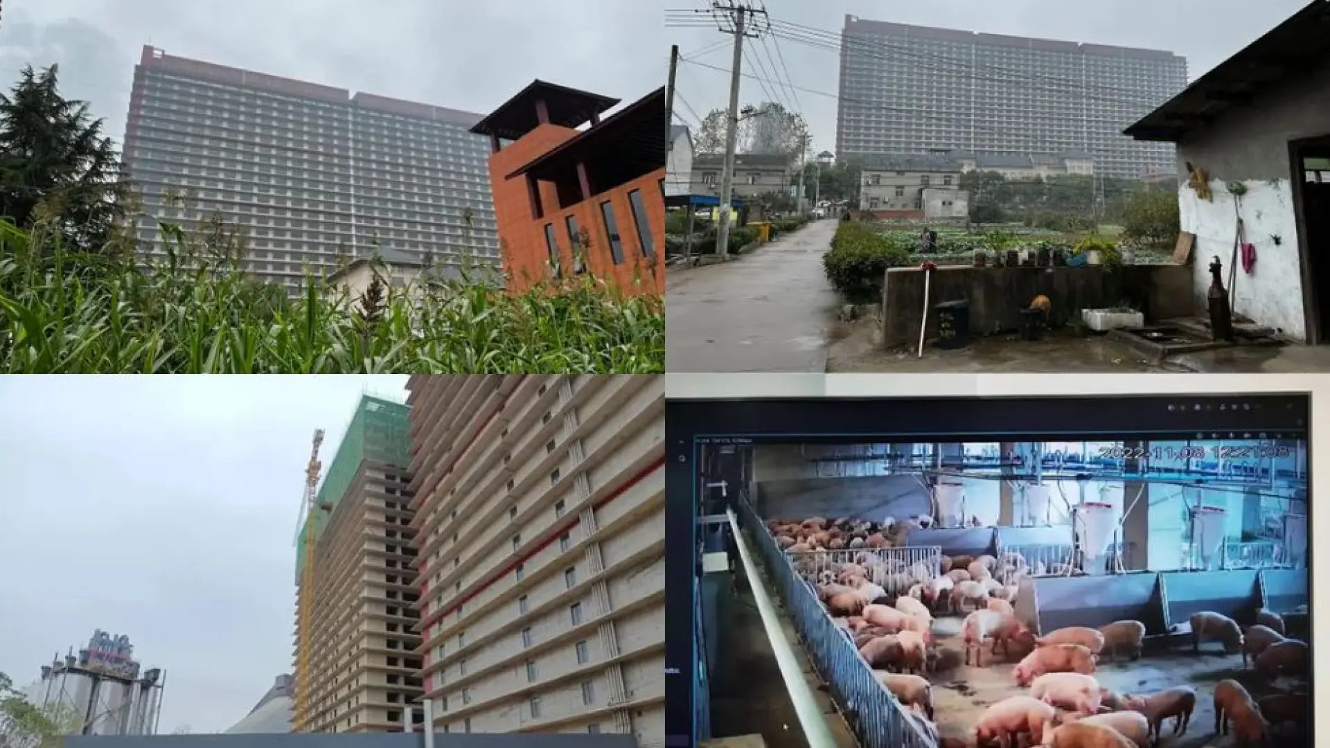 La pocilga más grande del mundo: este edificio de 26 pisos será una ...