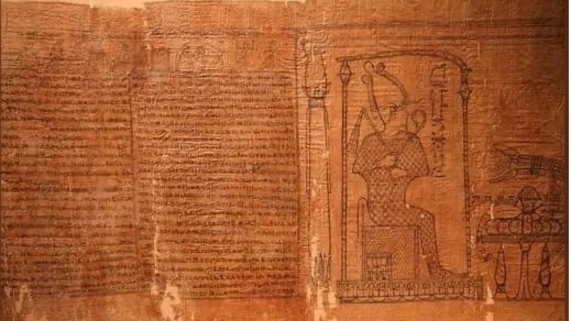 Definición De Papiro En El Antiguo Egipto PAPIRO EGIPCIO PLANTA DEL