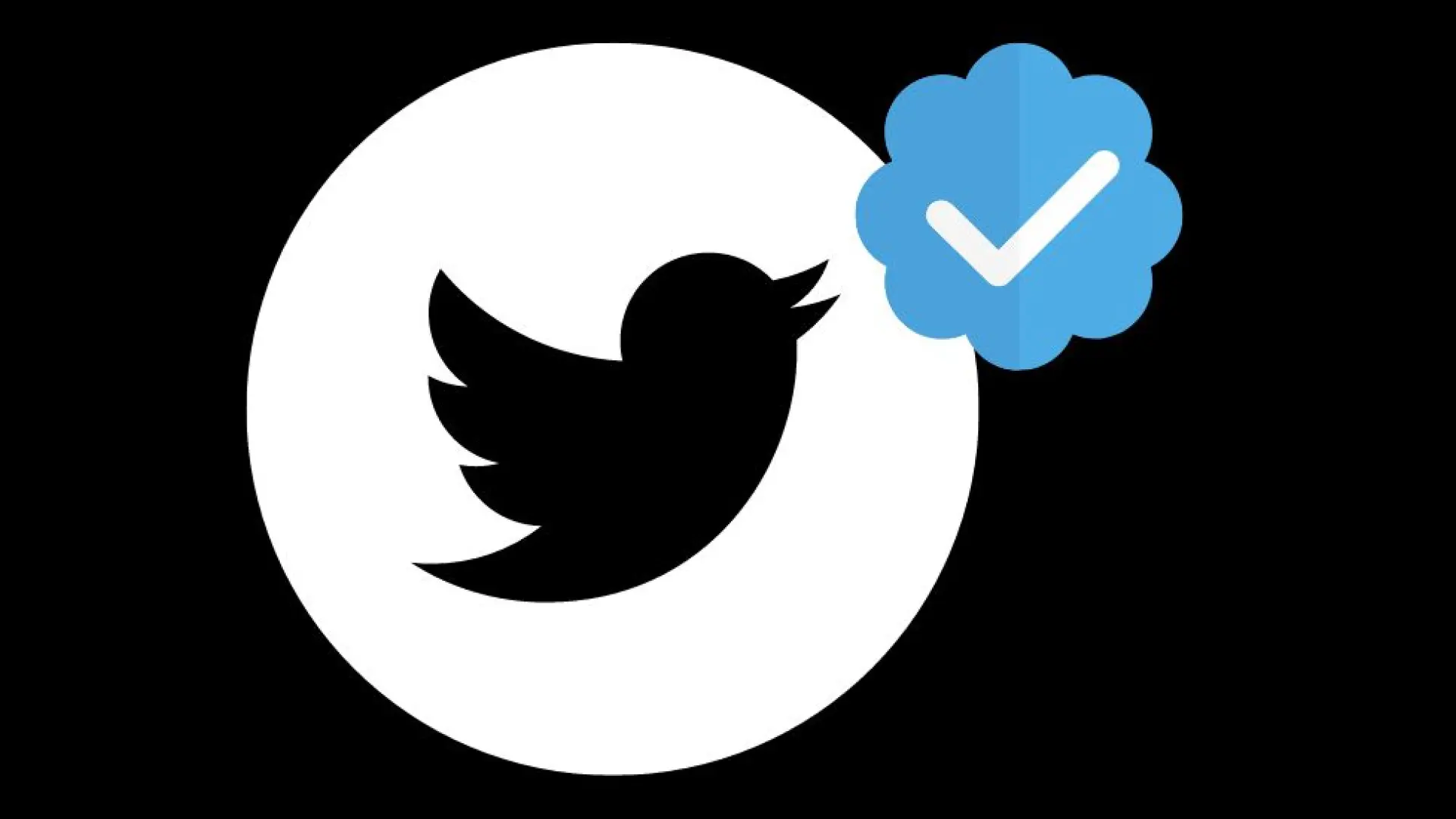 Si no pagas, no sales: solo los tuits de suscriptores de Twitter Blue ...