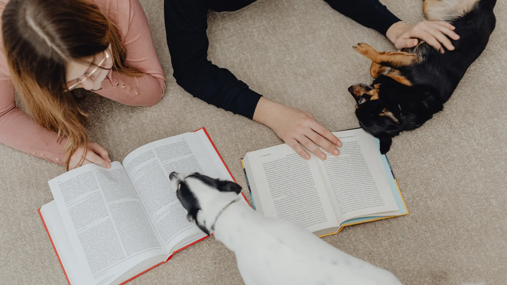 Diez libros para entender mejor a nuestros perros y reforzar el vínculo ...