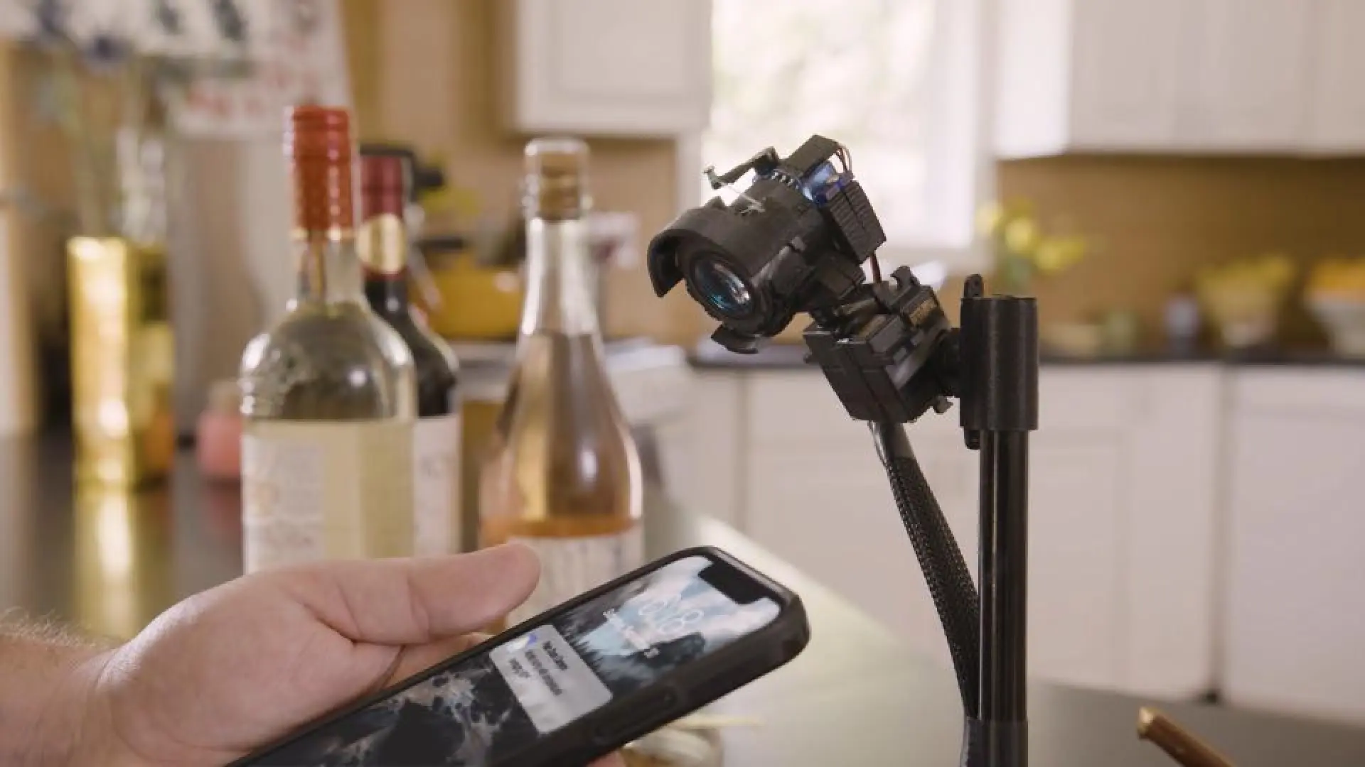 Cuidado, Siri y Alexa, llega Wink: un adorable robot asistente con el ...