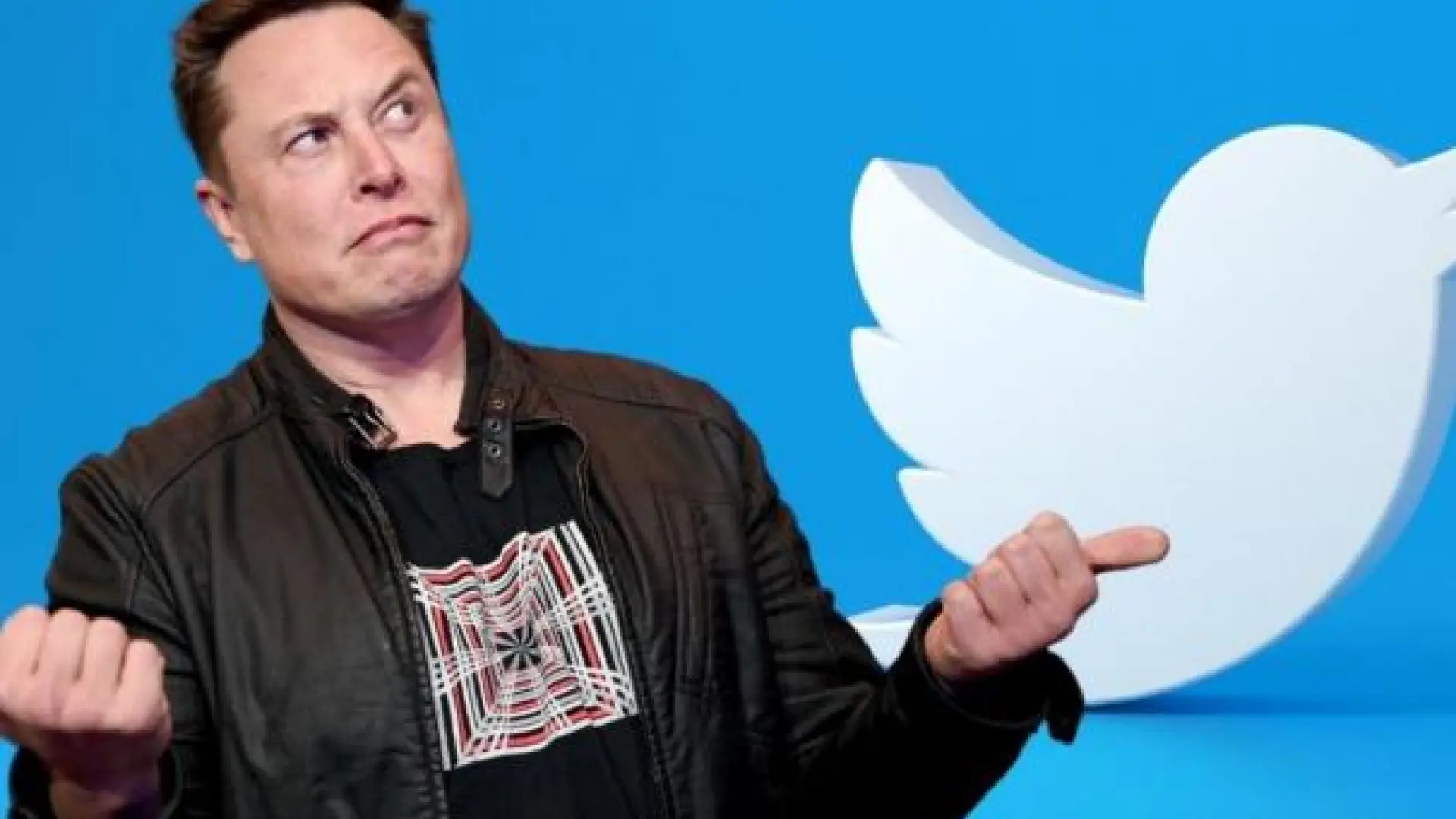 Elon Musk revoluciona la cúpula de Twitter: "Tengo una nueva CEO"