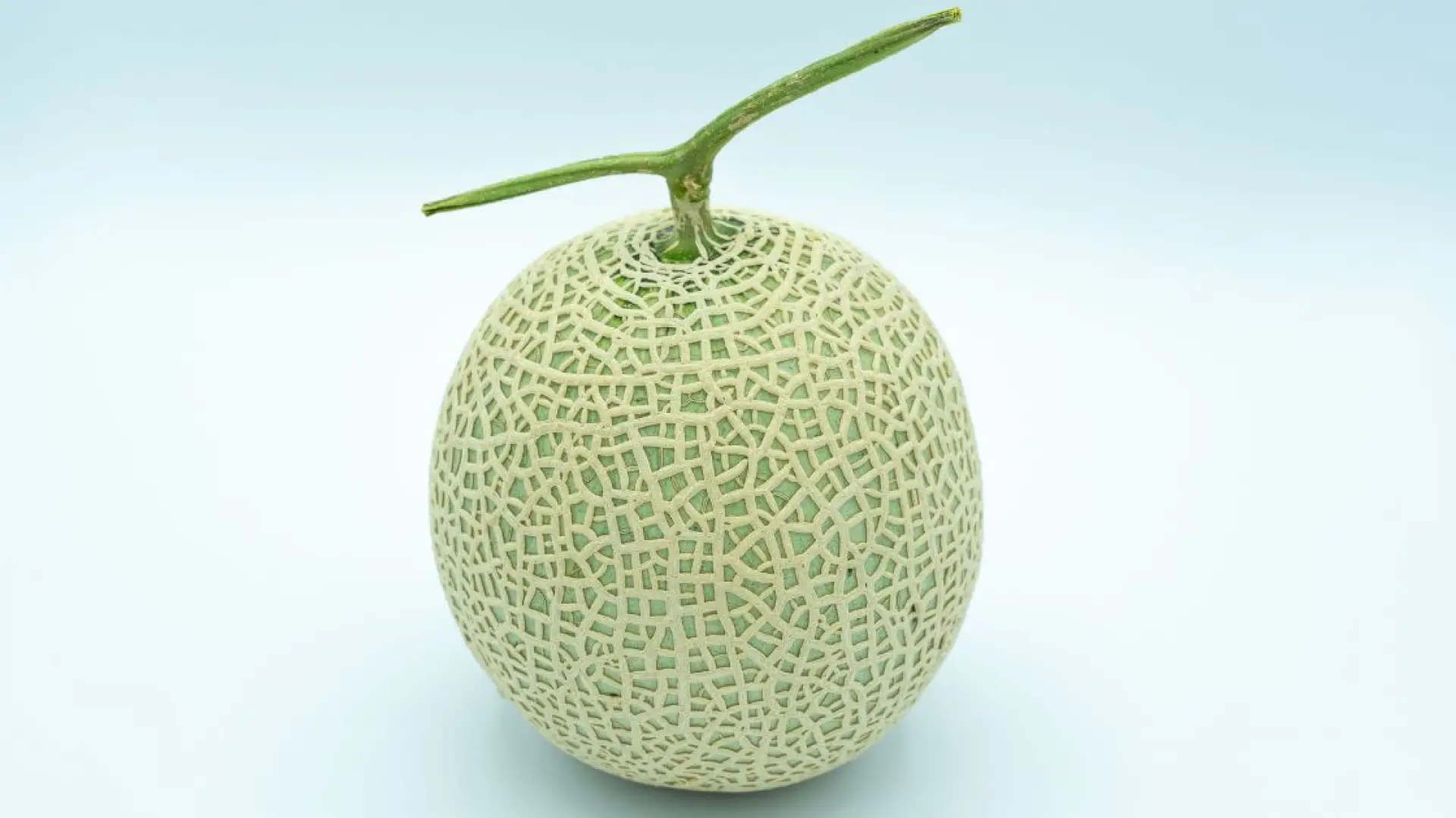 Así es el melón más caro del mundo por el que se llega a pagar hasta 40 ...