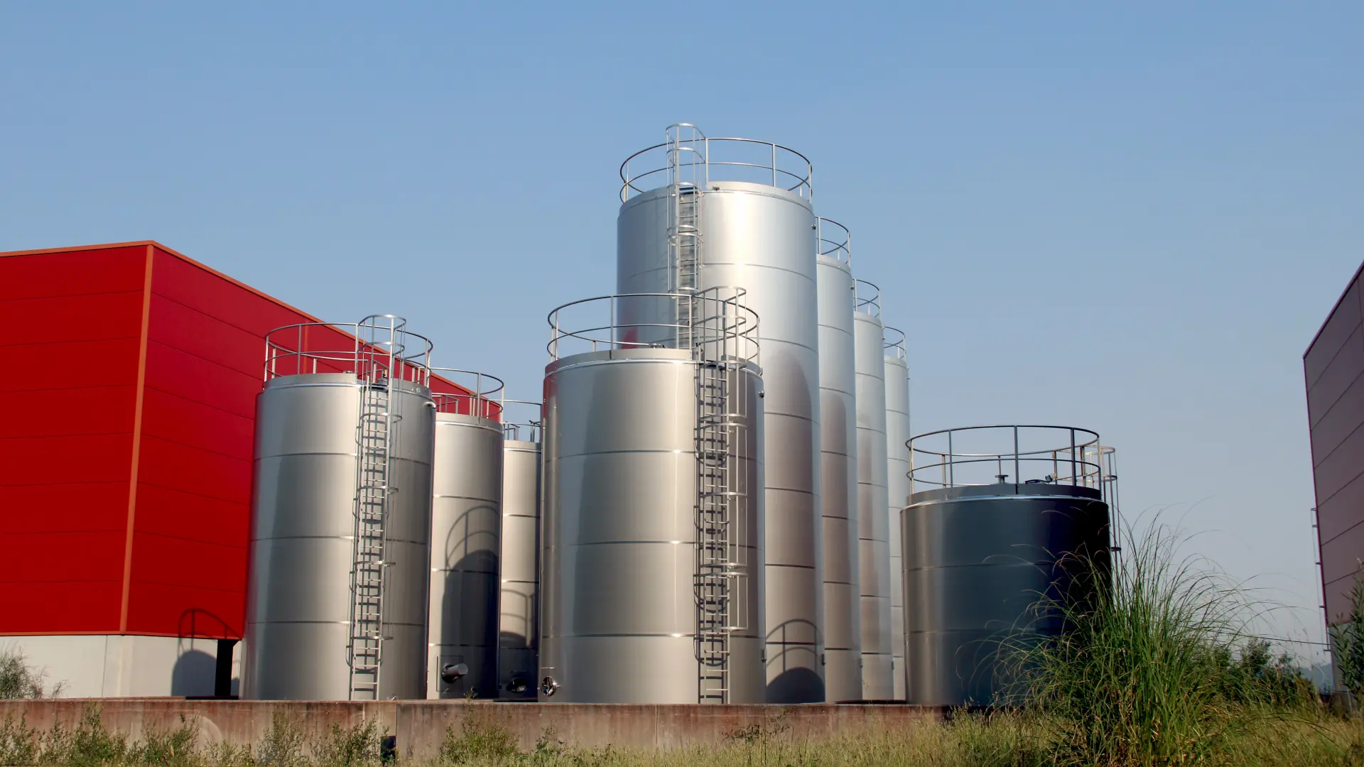 El millonario negocio del Omega-3 mira a España por la nueva fábrica de ...